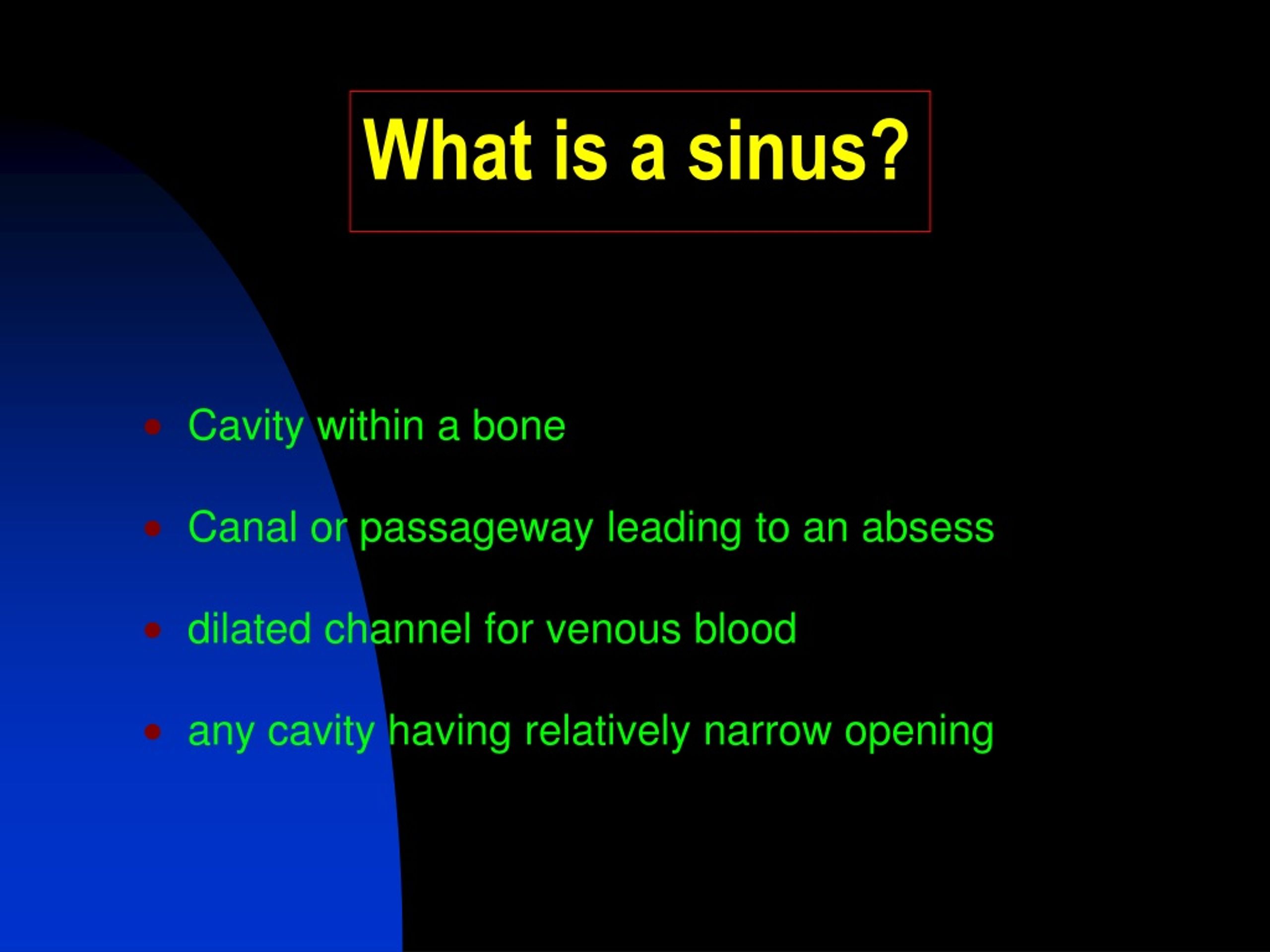PPT - What is a sinus? PowerPoint Presentation, free download - ID:1242736