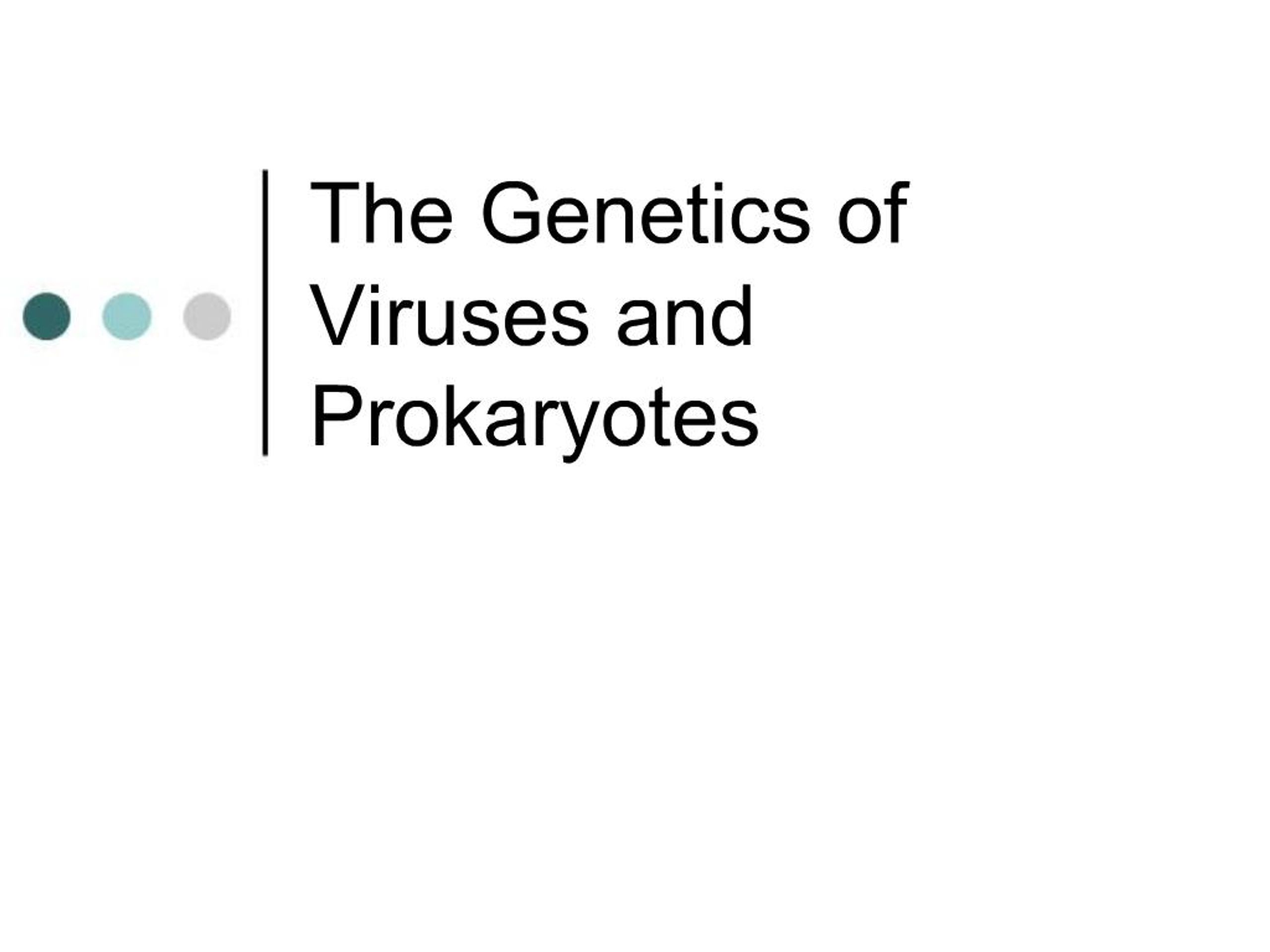 PPT - The Genetics of Viruses and Prokaryotes PowerPoint Presentation ...