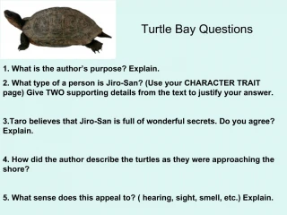 PPT - Turtle Bay Apparel PowerPoint Presentation, free download - ID ...