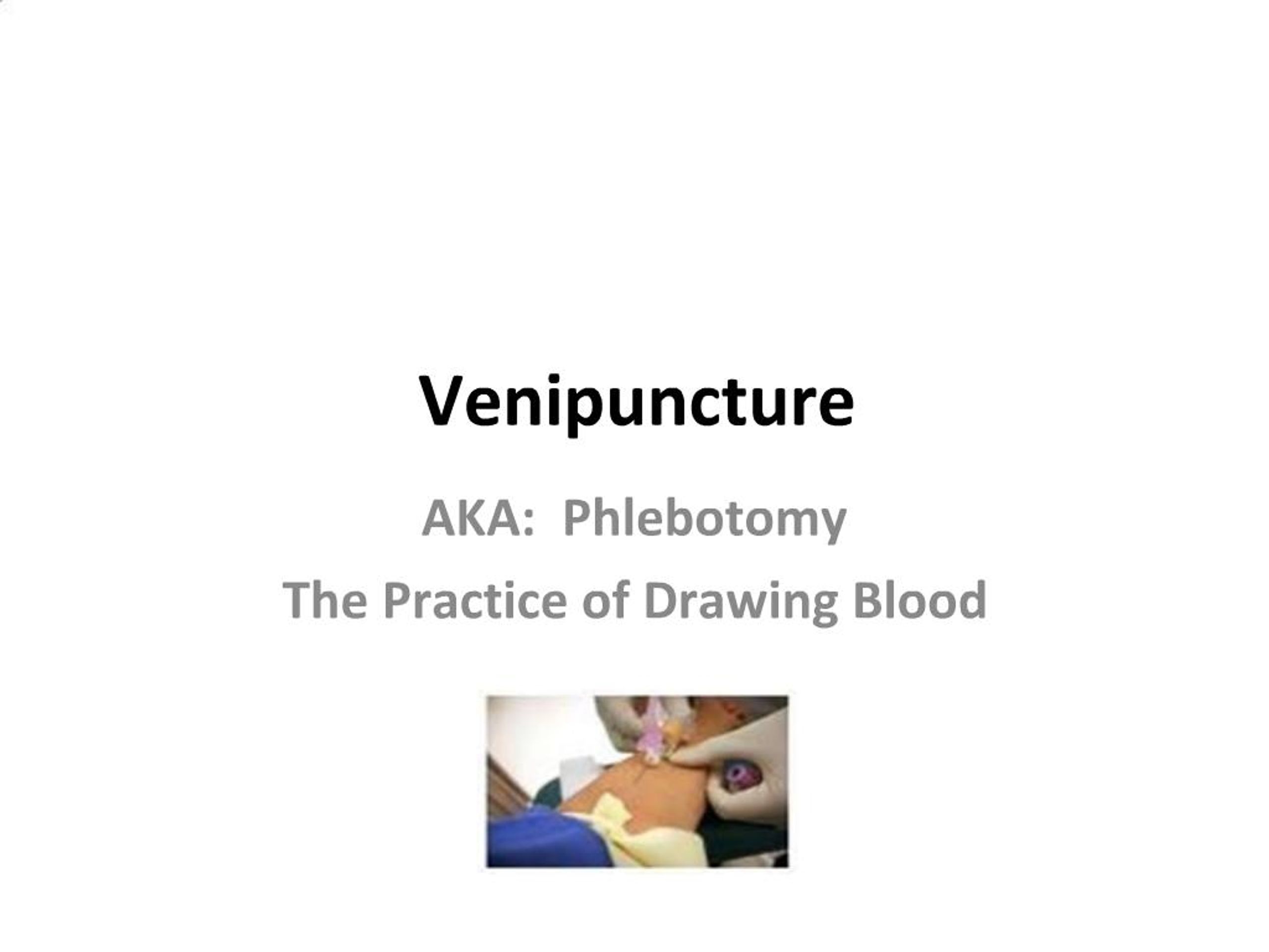 PPT - Venipuncture PowerPoint Presentation, free download - ID:1265919
