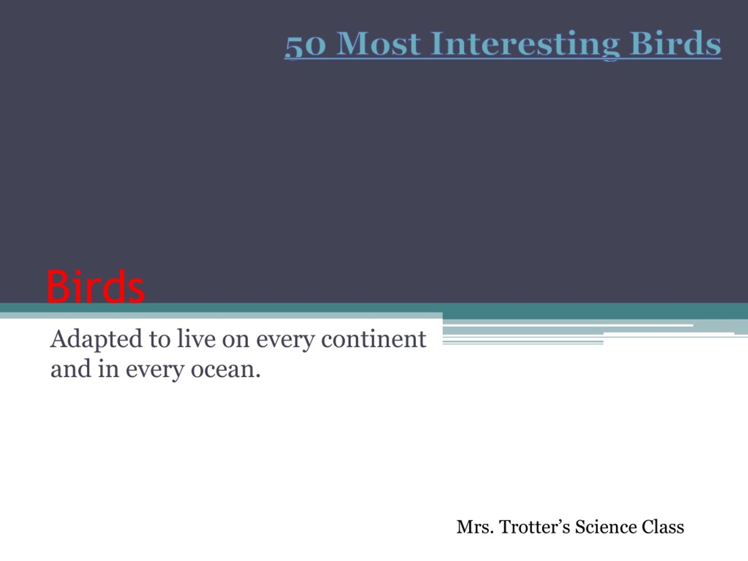 PPT - Birds PowerPoint Presentation, free download - ID:1267024
