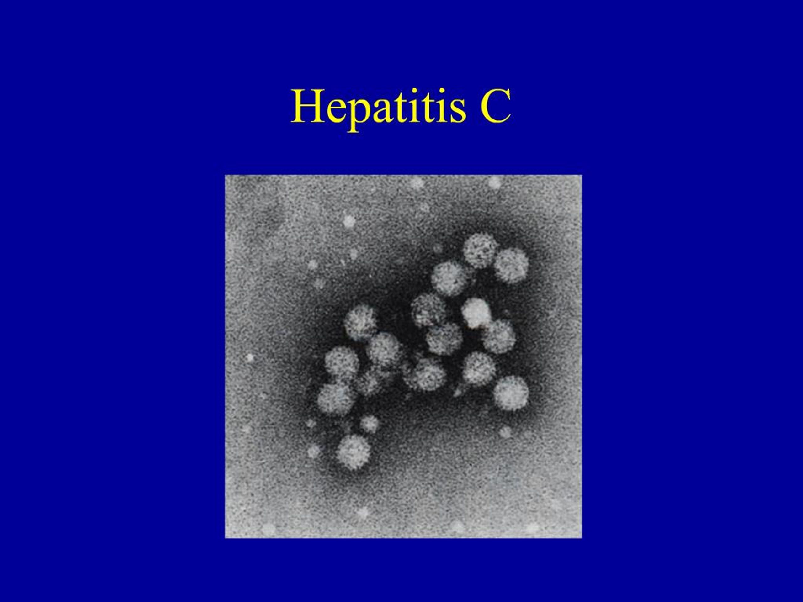 PPT - Hepatitis C PowerPoint Presentation, free download - ID:1269490