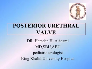 PPT - URETHRAL STRICTURES PowerPoint Presentation, free download - ID ...