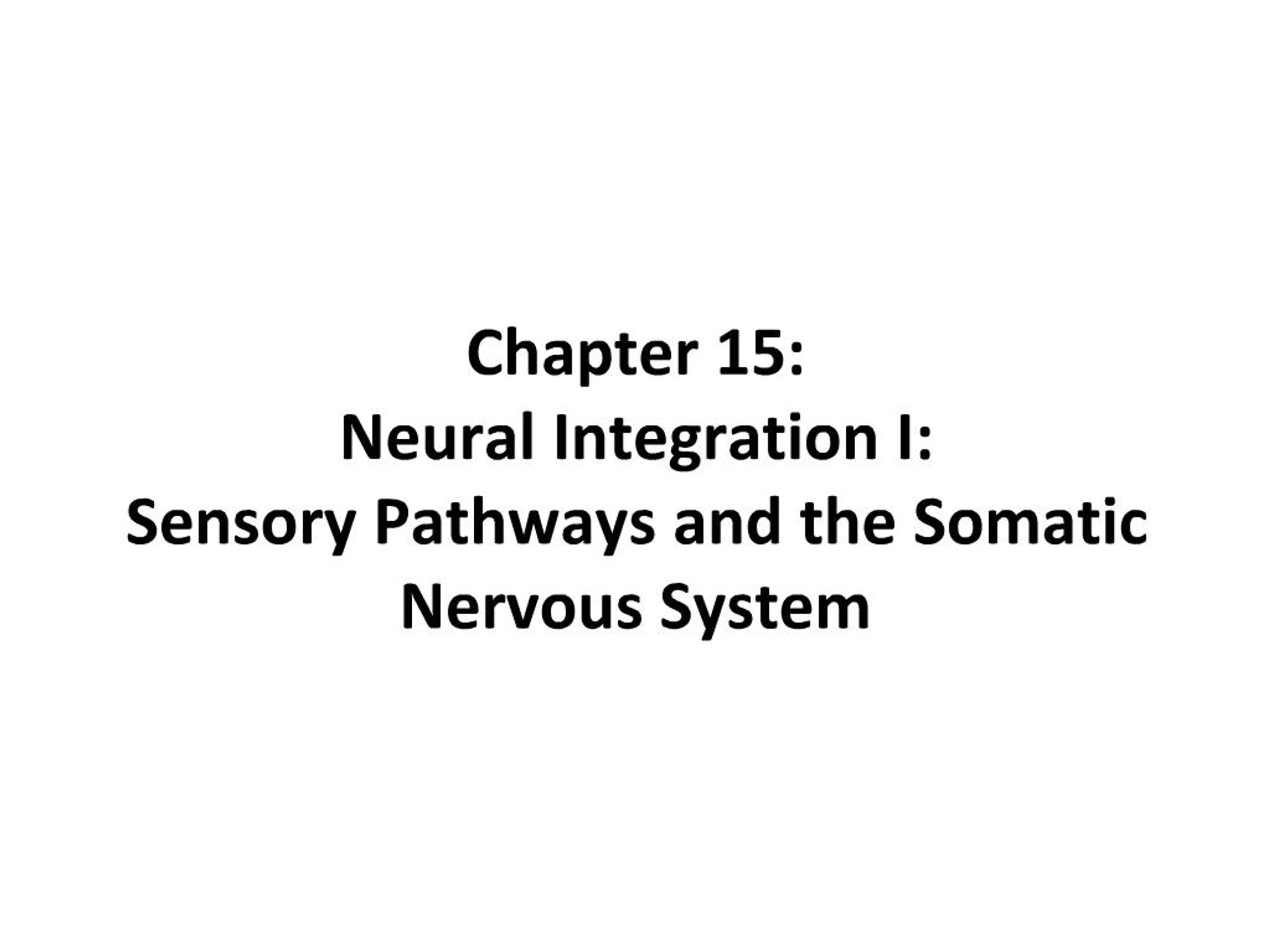 PPT - Chapter 15: Neural Integration I: Sensory Pathways and the ...
