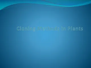 PPT - Cloning in plants and animals PowerPoint Presentation, free ...