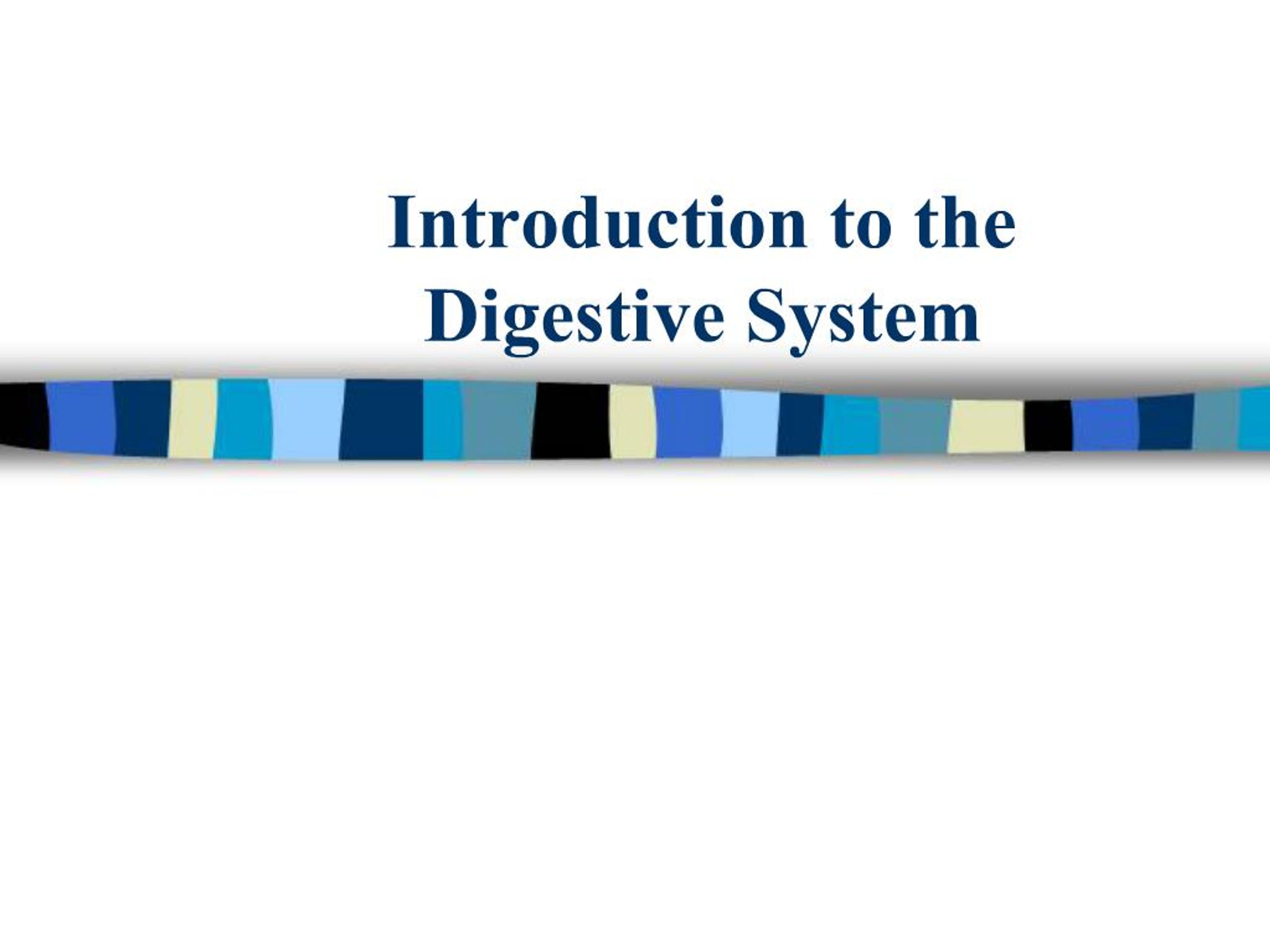 PPT - Introduction to the Digestive System PowerPoint Presentation ...