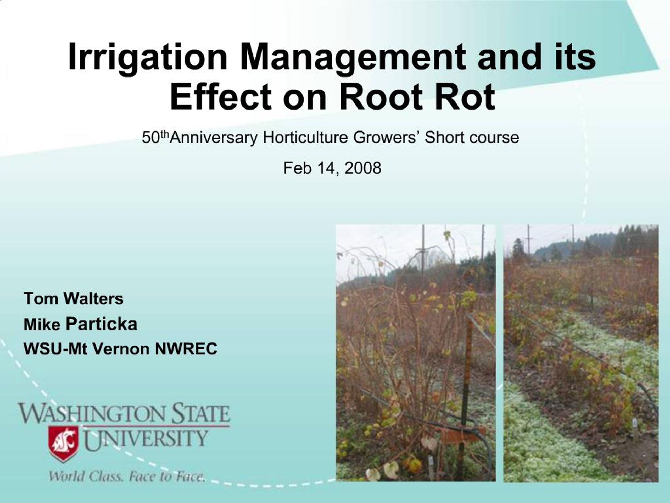 PPT - Irrigation Management and its Effect on Root Rot PowerPoint ...