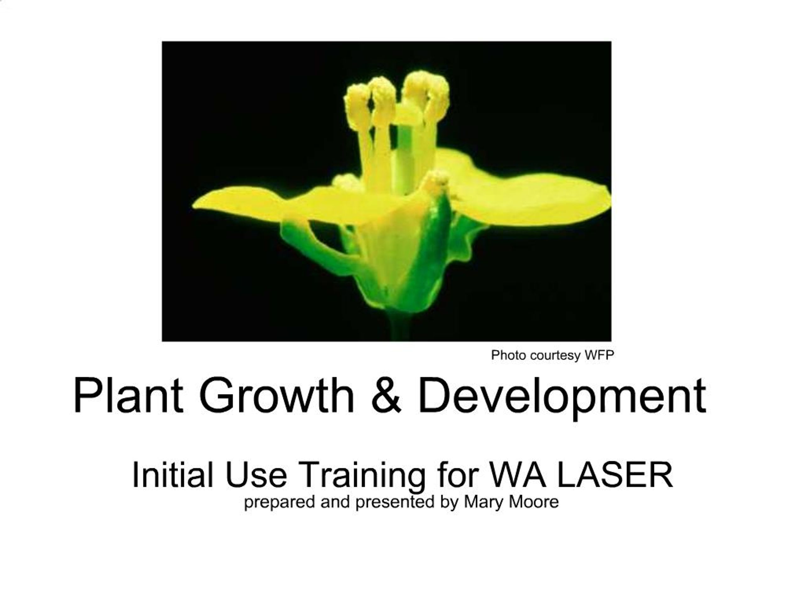 PPT - Plant Growth Development PowerPoint Presentation, free download ...
