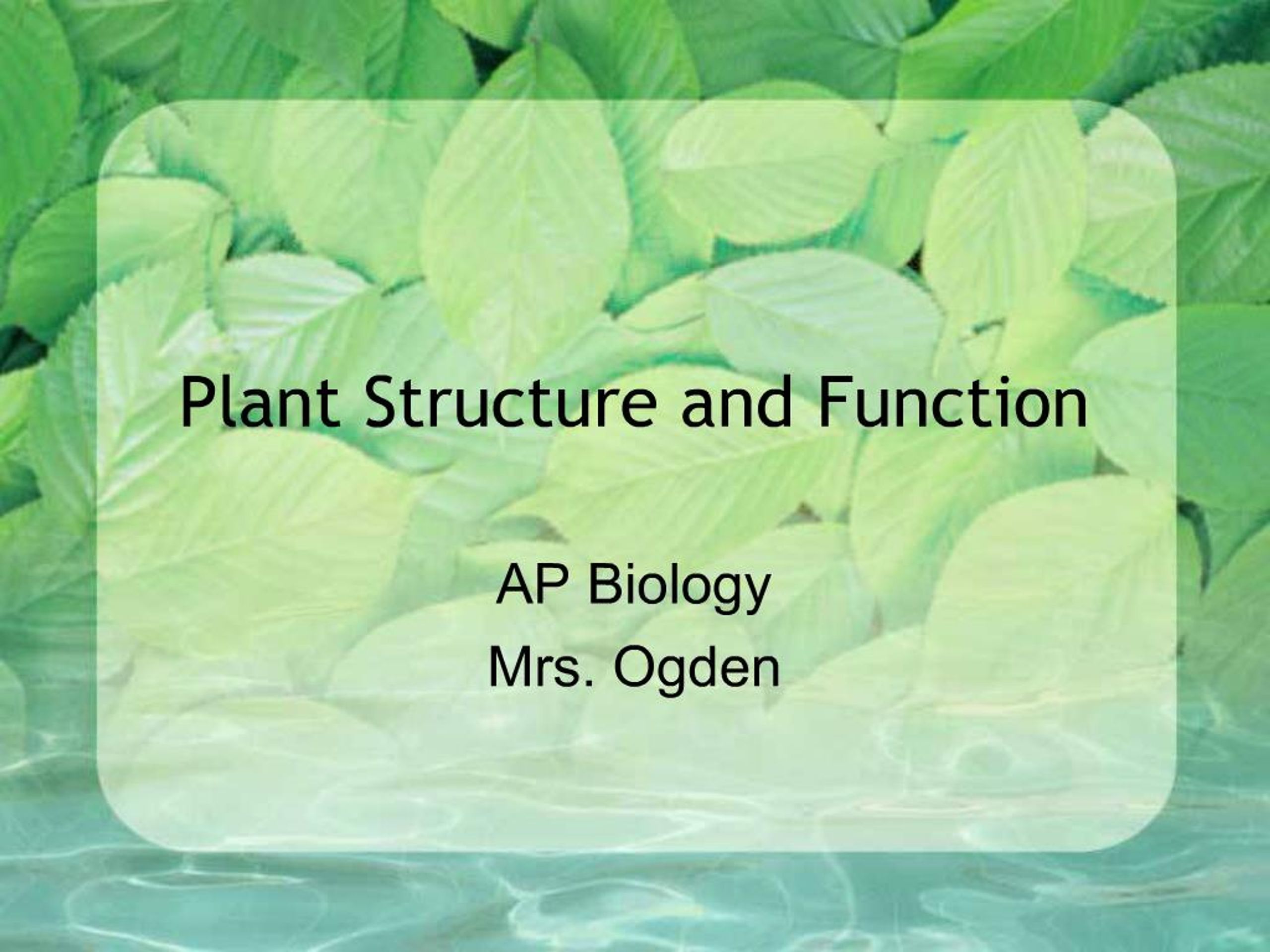 PPT - Plant Structure and Function PowerPoint Presentation, free ...