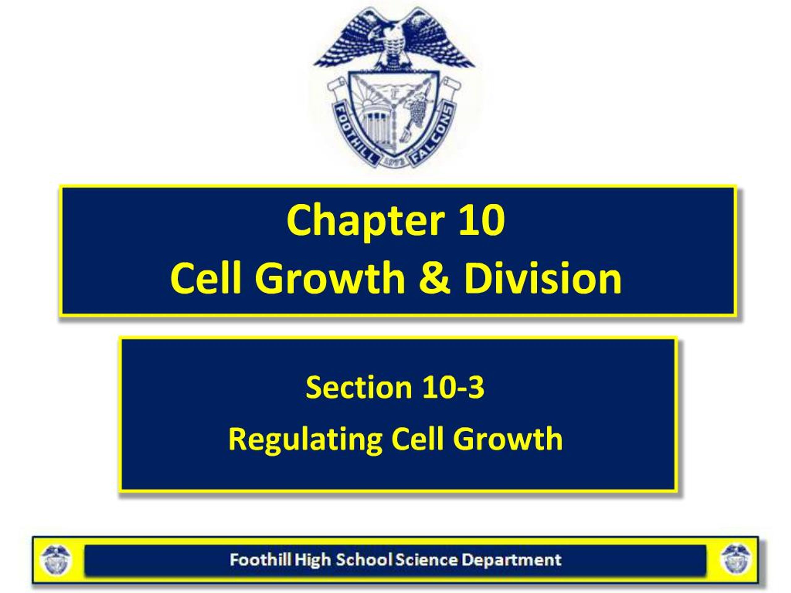 PPT - Chapter 10 Cell Growth Division PowerPoint Presentation, free ...