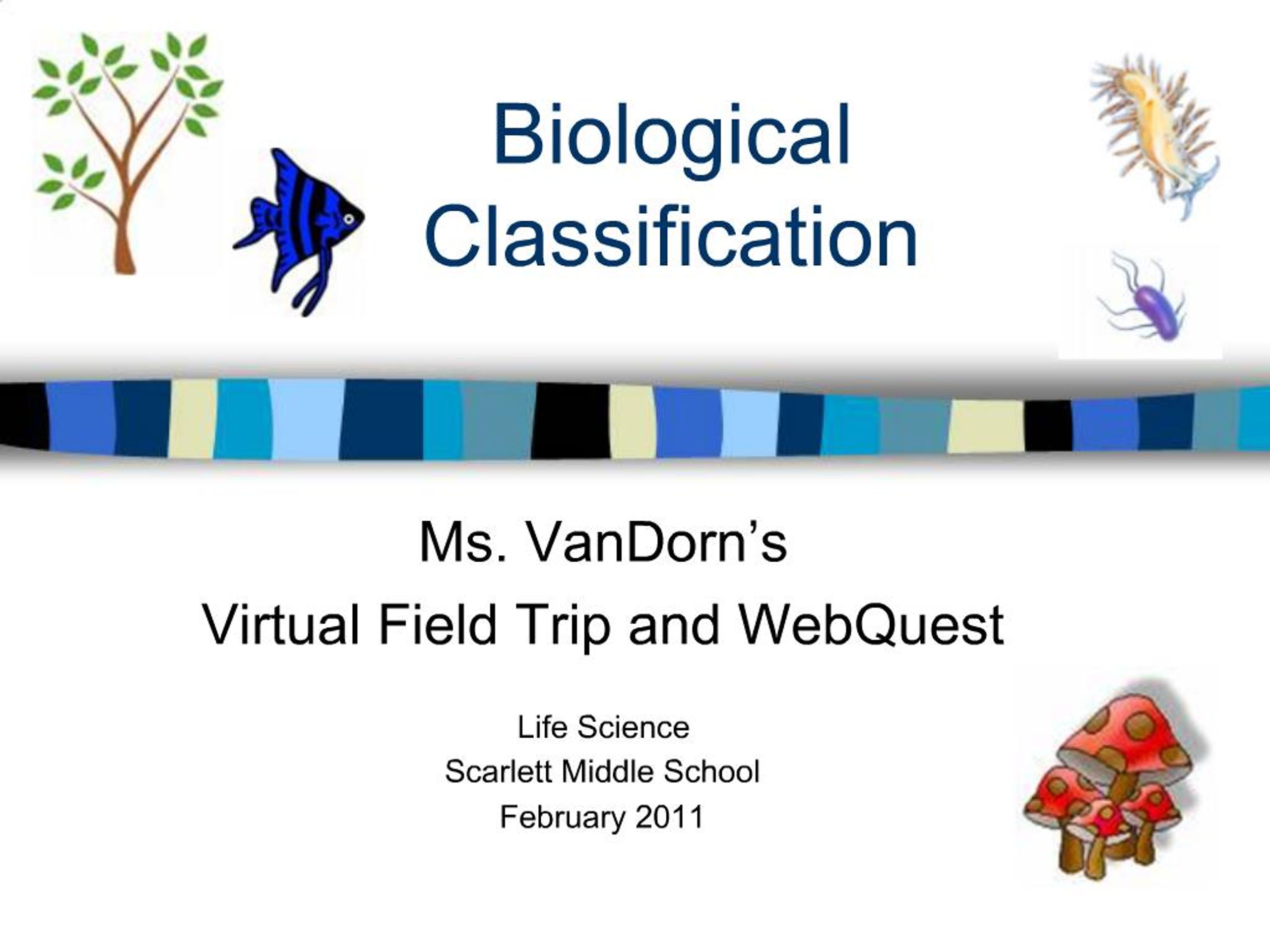 PPT - Biological Classification PowerPoint Presentation, free download ...