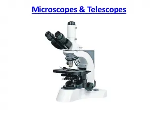 PPT - Parts of Microscopes PowerPoint Presentation, free download - ID ...