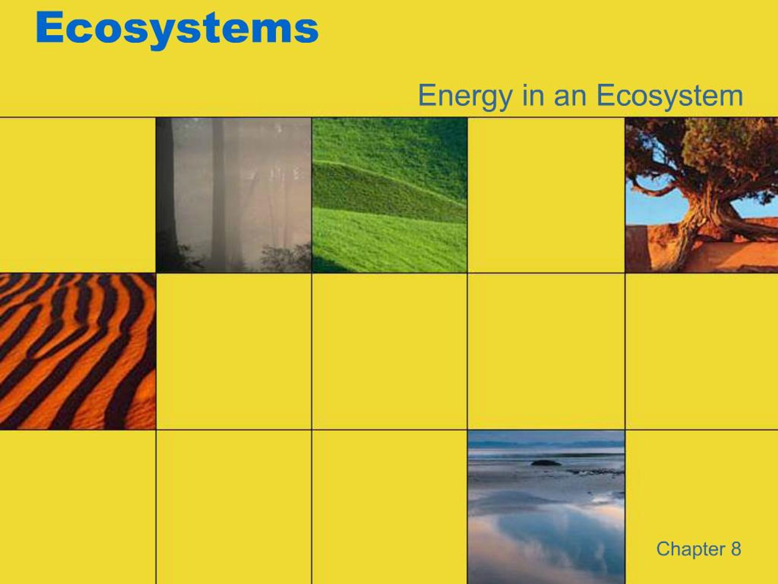 PPT - Ecosystems PowerPoint Presentation, free download - ID:1329652
