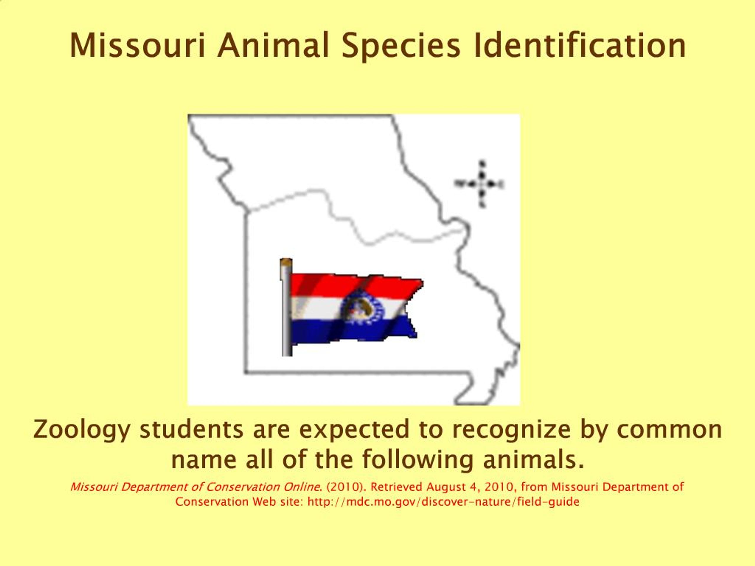 PPT - Missouri Animal Species Identification Guide PowerPoint ...