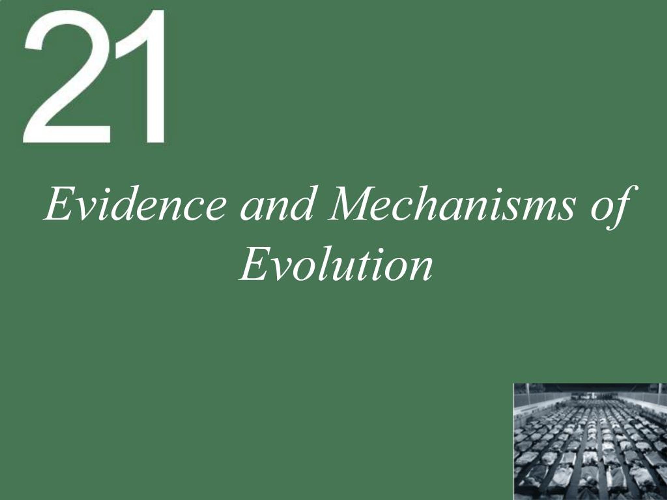 PPT - Evidence and Mechanisms of Evolution PowerPoint Presentation ...