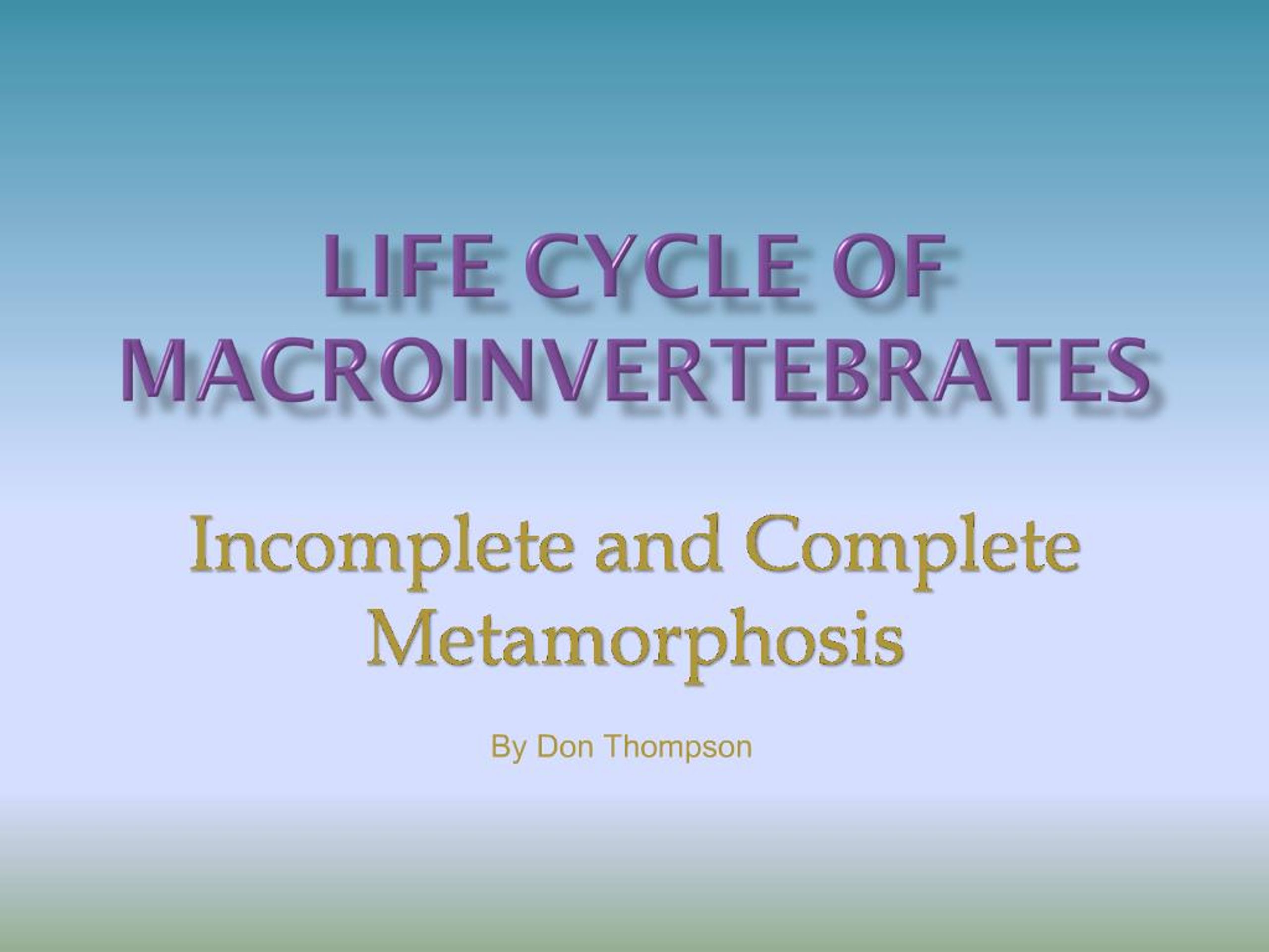 PPT - Life Cycle of Macroinvertebrates PowerPoint Presentation, free ...
