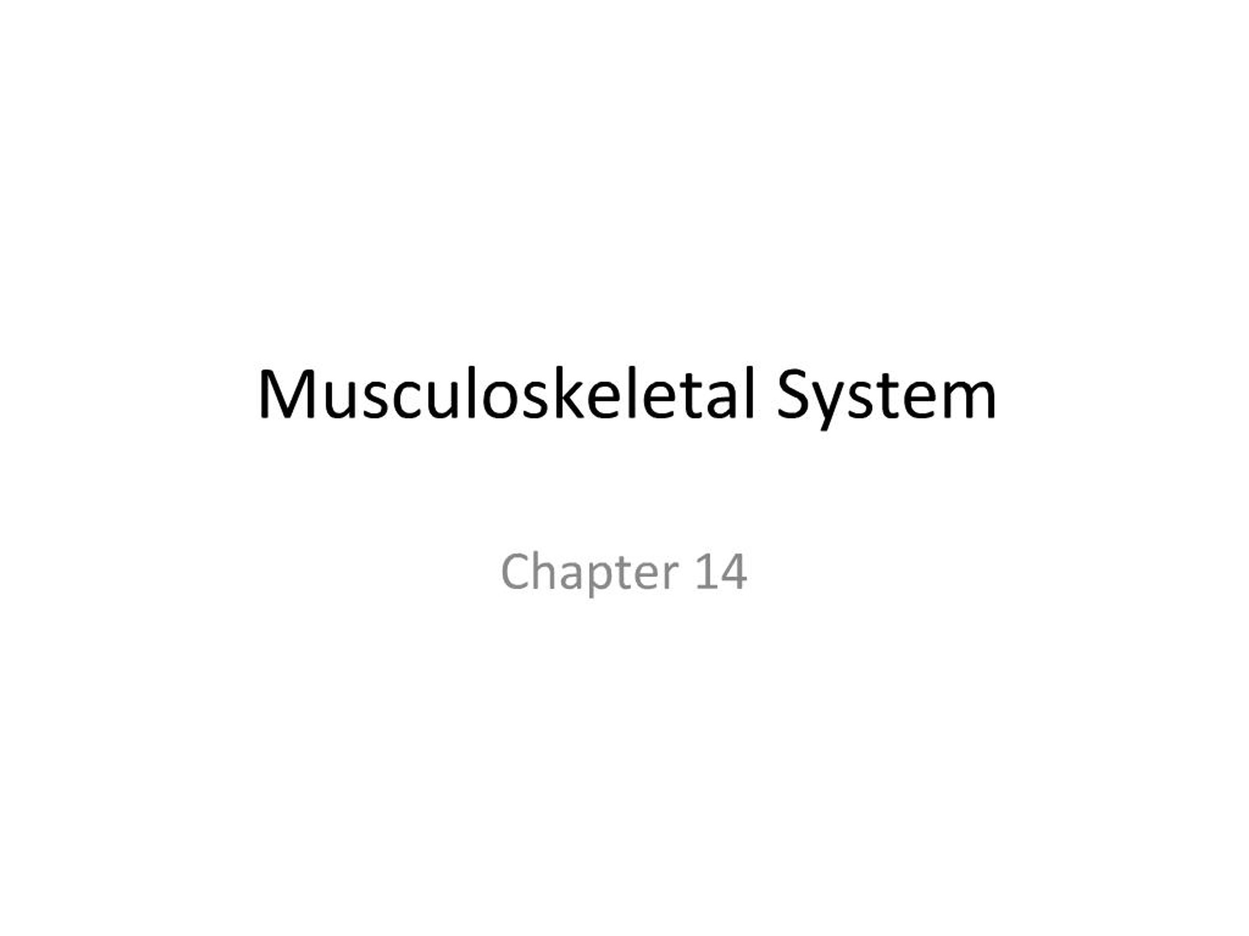 PPT - Musculoskeletal System PowerPoint Presentation, free download ...
