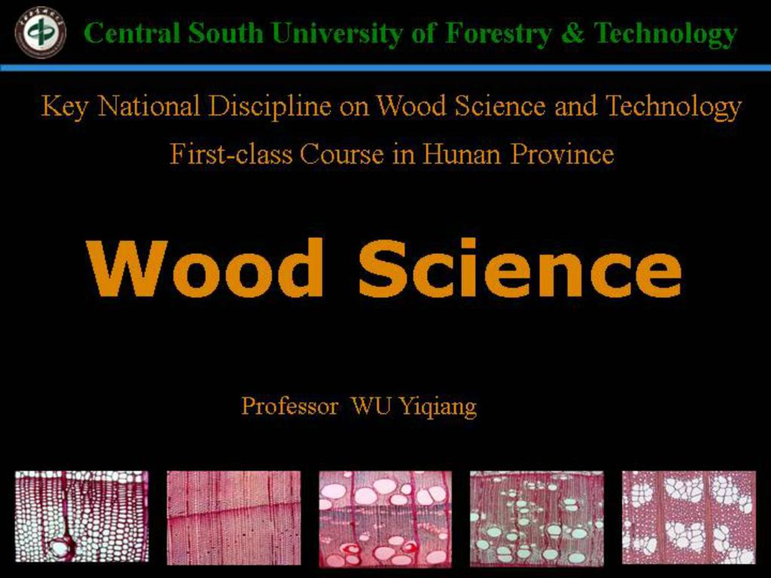 PPT - Chapter3 The Woody Cell Wall PowerPoint Presentation, free ...