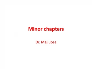 PPT - MINOR KEITH PowerPoint Presentation, free download - ID:1936377