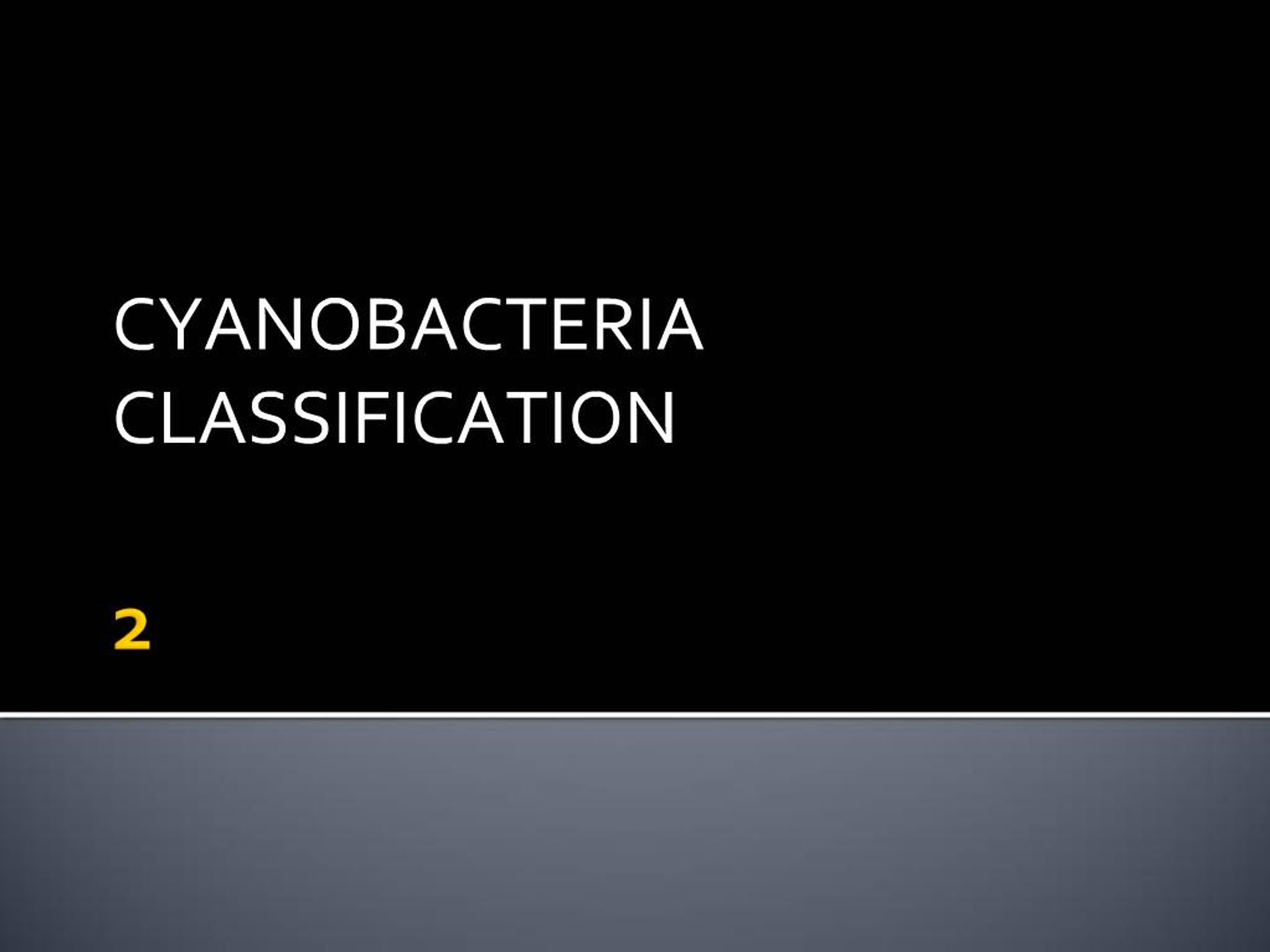 PPT - CYANOBACTERIA CLASSIFICATION PowerPoint Presentation, free ...