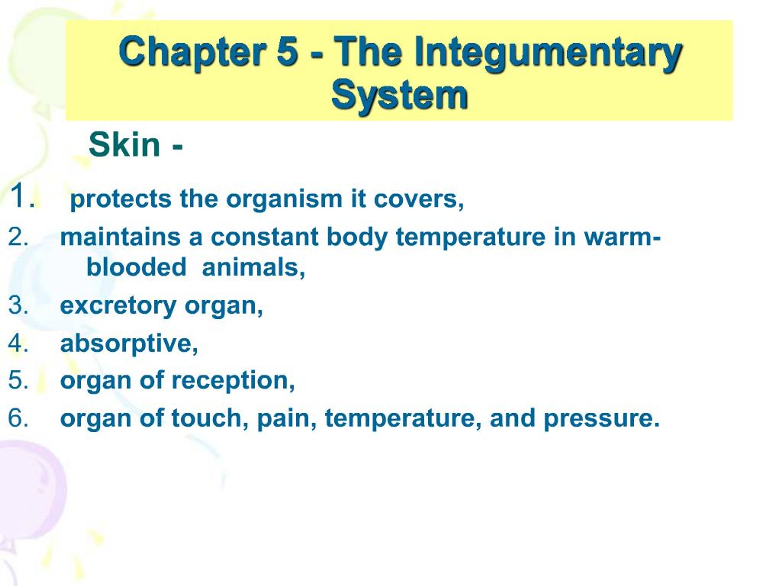 PPT - Chapter 5 - The Integumentary System PowerPoint Presentation ...