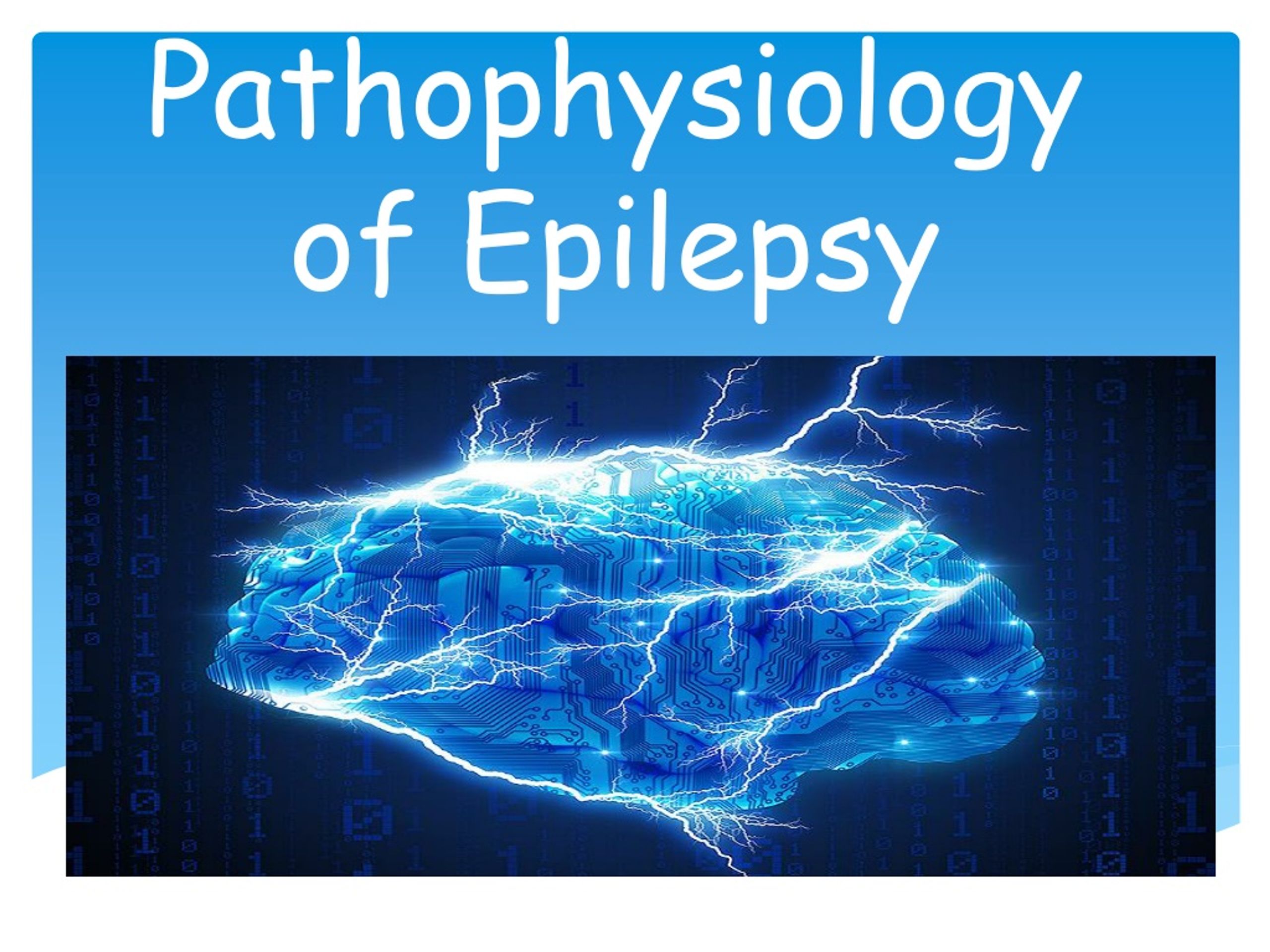PPT - Pathophysiology of Epilepsy PowerPoint Presentation, free ...