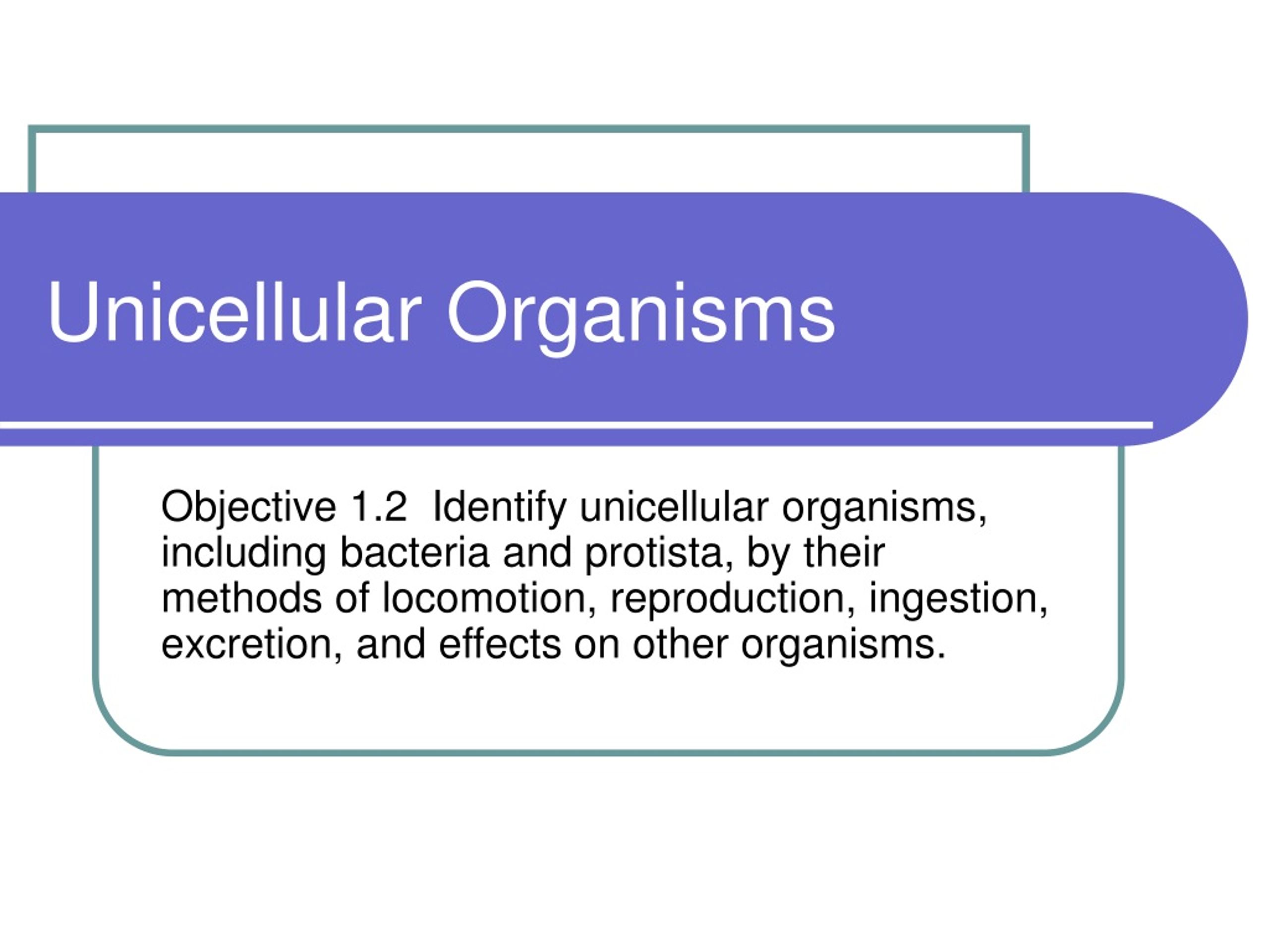 PPT - Unicellular Organisms PowerPoint Presentation, free download - ID ...