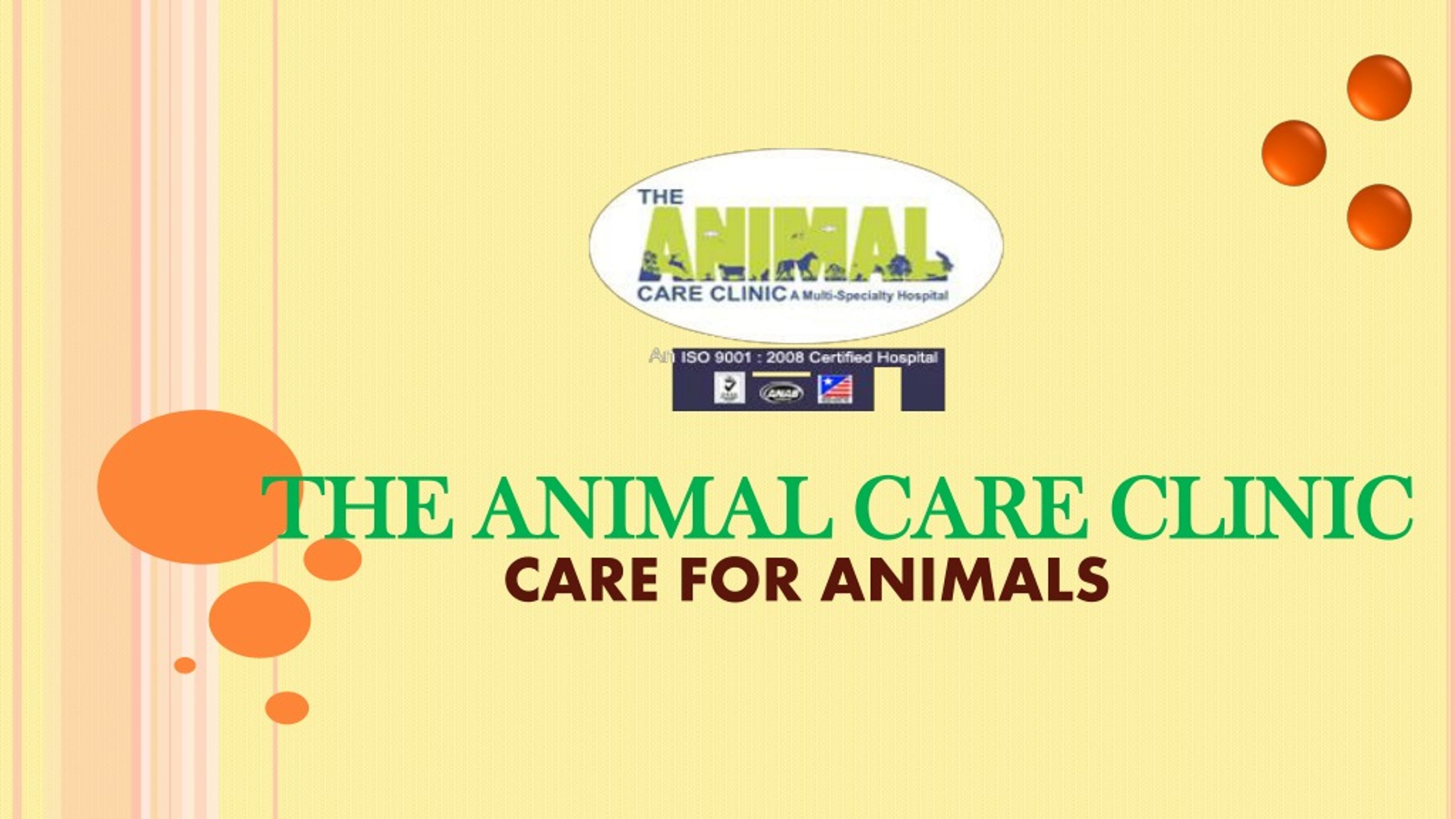 PPT - Care for Animals PowerPoint Presentation, free download - ID:1436062