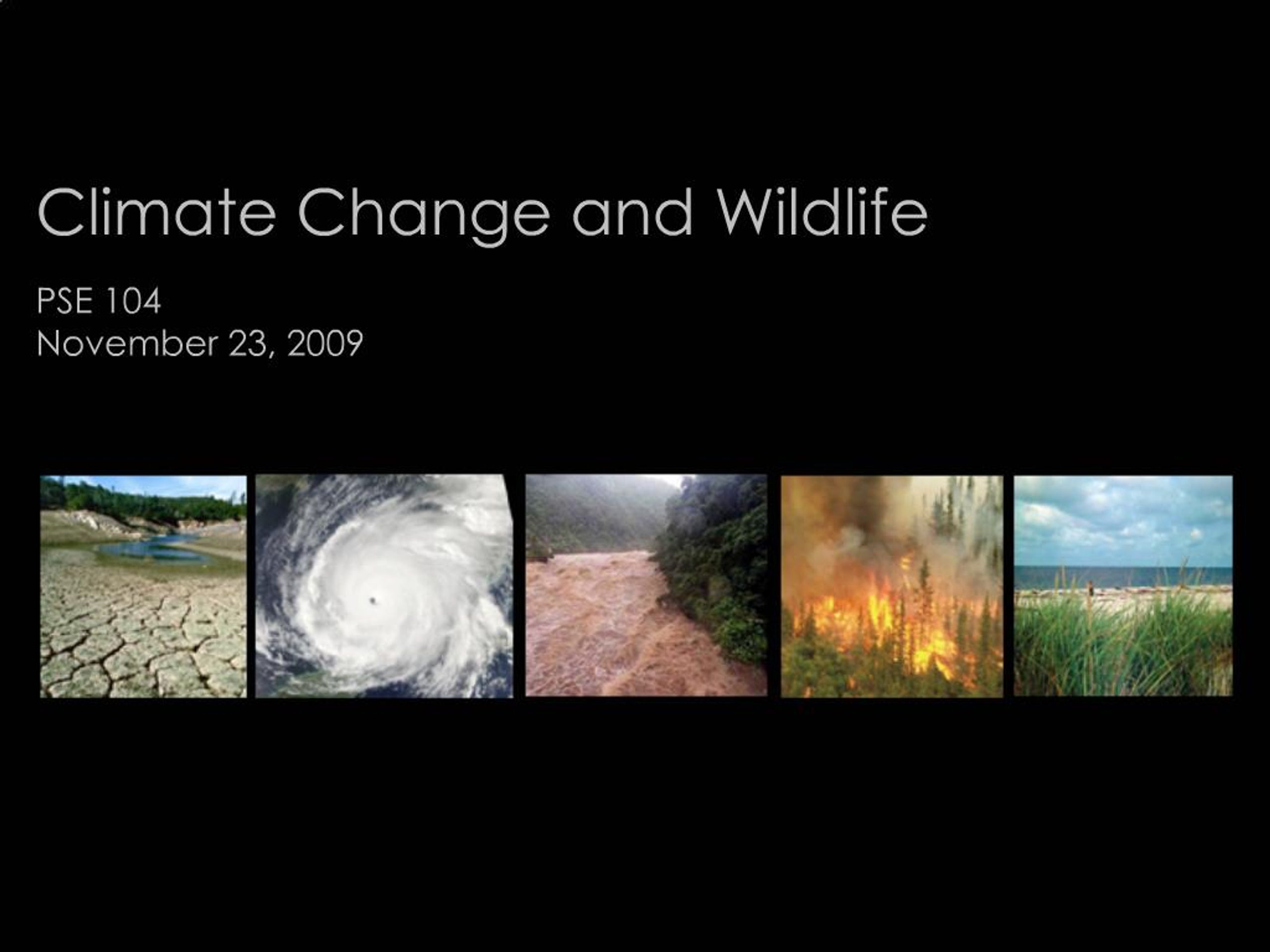 PPT - The Impact of Climate Change on Global Wildlife Populations ...