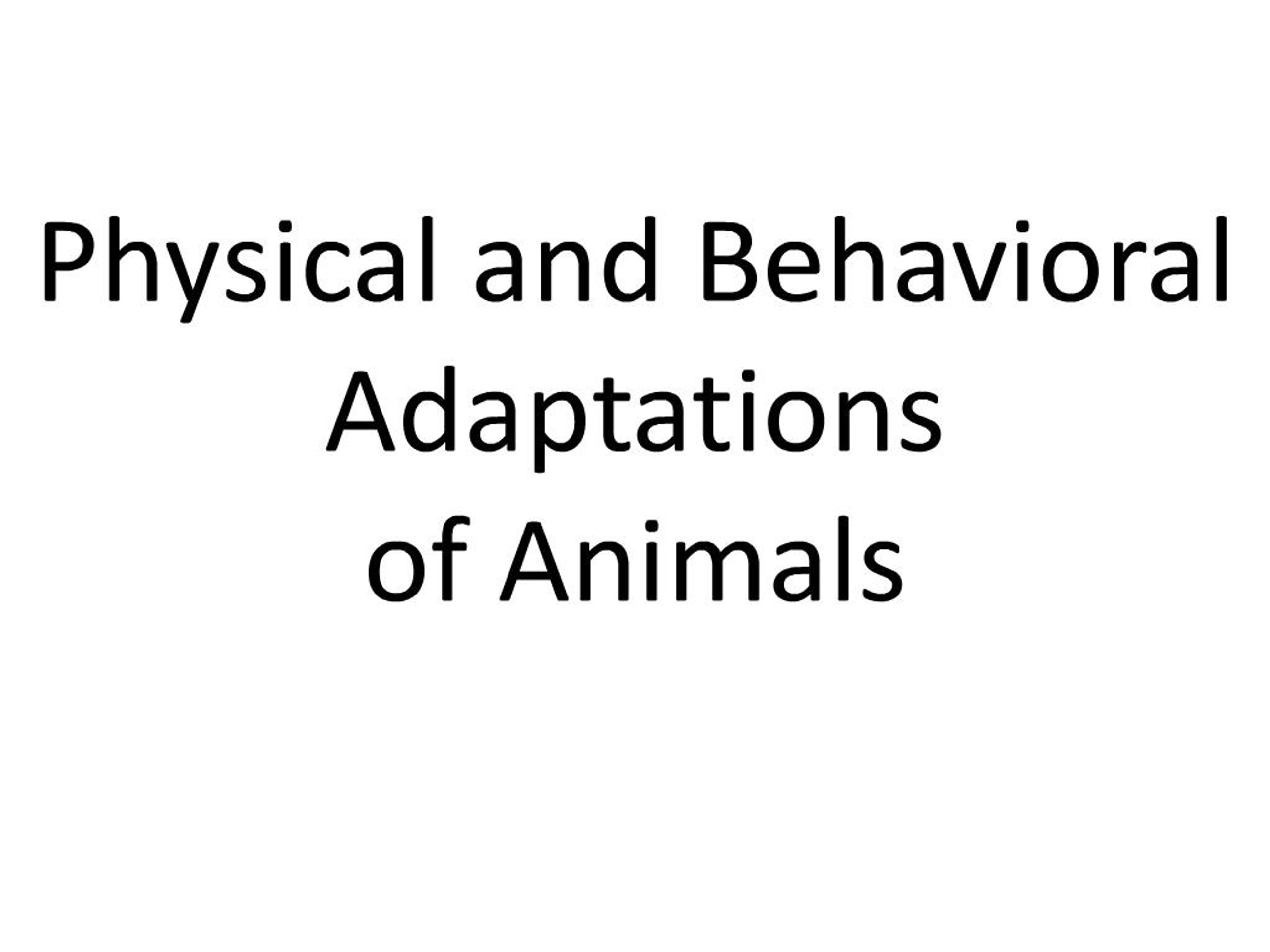 PPT - physical and behavioral adaptations of animals PowerPoint ...