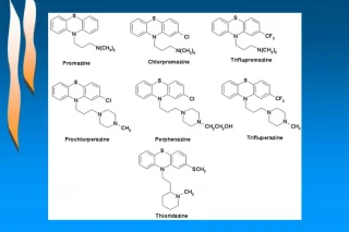 PPT - Quantitative Structure Activity Relationship (QSAR) PowerPoint ...