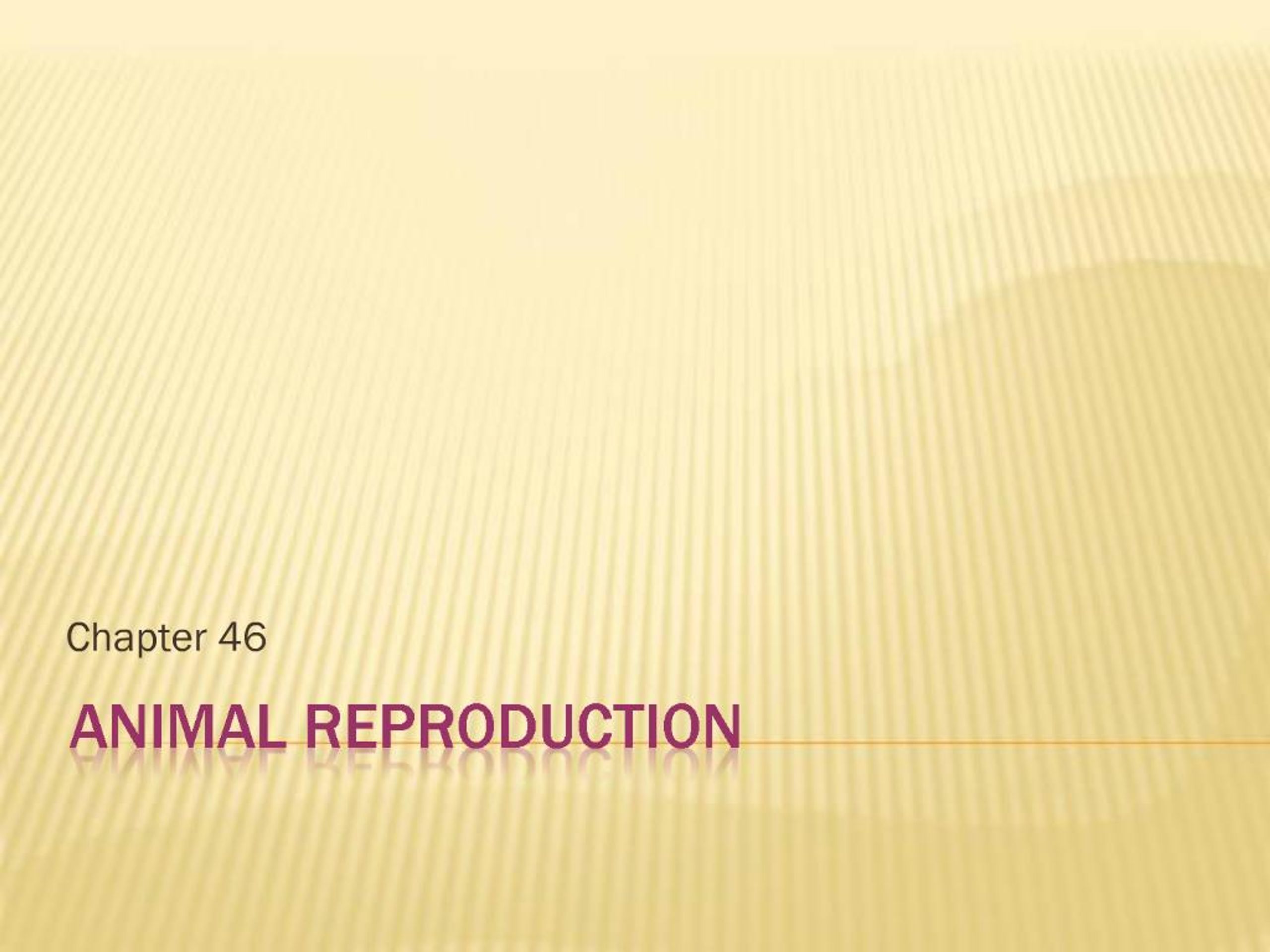 PPT - Animal Reproduction PowerPoint Presentation, free download - ID ...