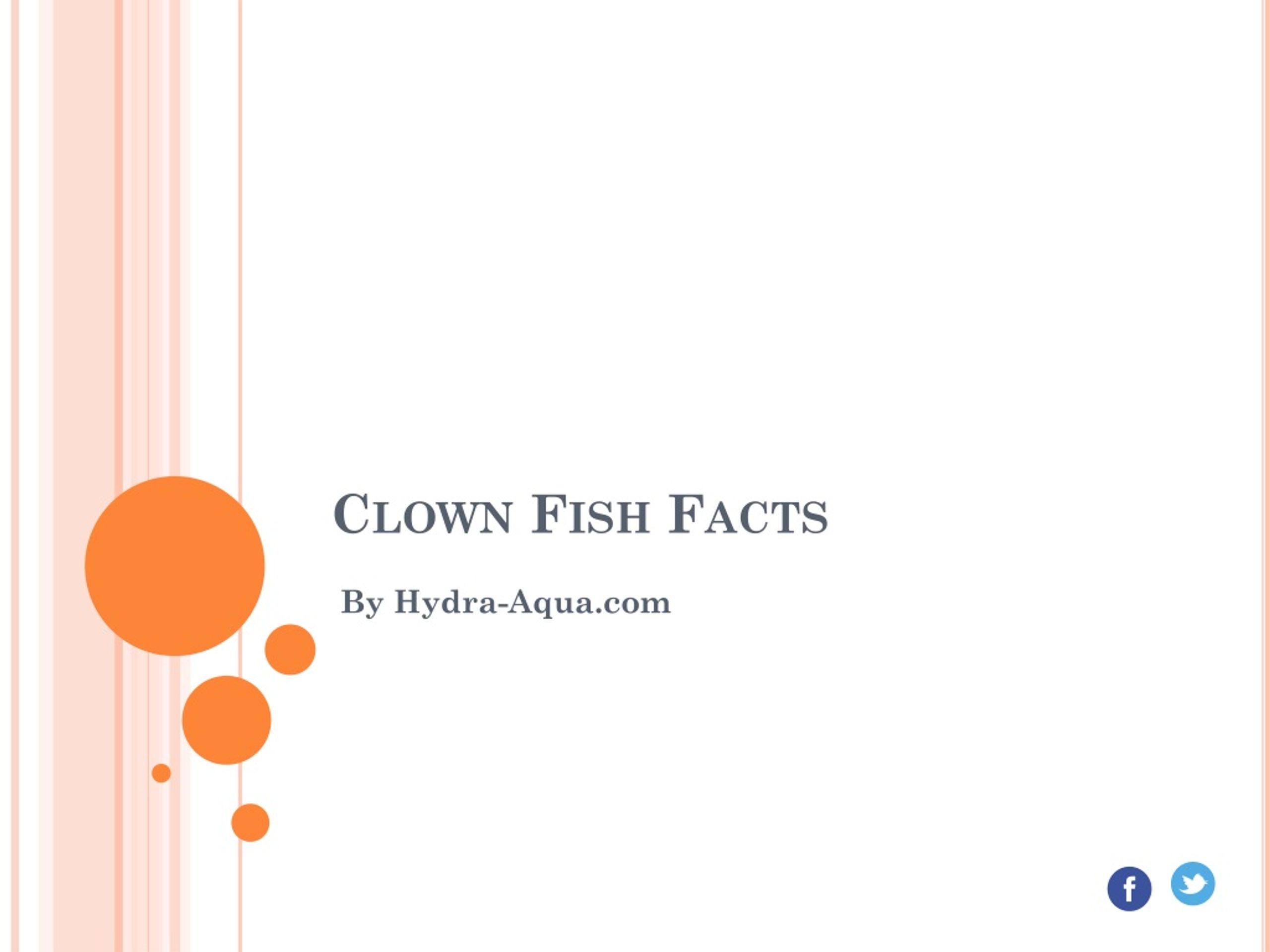 PPT - Clown Fish Facts and Pond Solutions PowerPoint Presentation, free ...