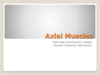PPT - 11-5 Axial Musculature PowerPoint Presentation, free download ...