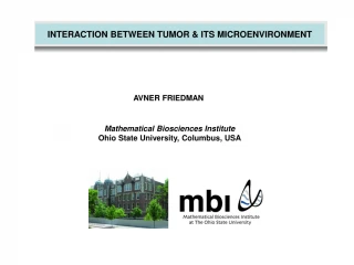 PPT - Tumor Microenvironment Network (TMEN) PowerPoint Presentation ...