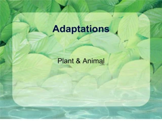 PPT - NINE TYPES OF ADAPTATIONS PowerPoint Presentation, free download ...