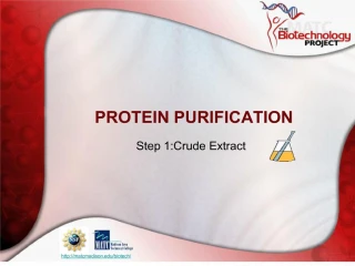 PPT - Environment self-purification PowerPoint Presentation, free ...