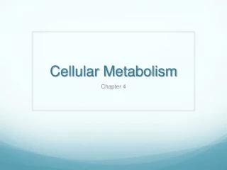 PPT - Cellular Metabolism PowerPoint Presentation, free download - ID ...