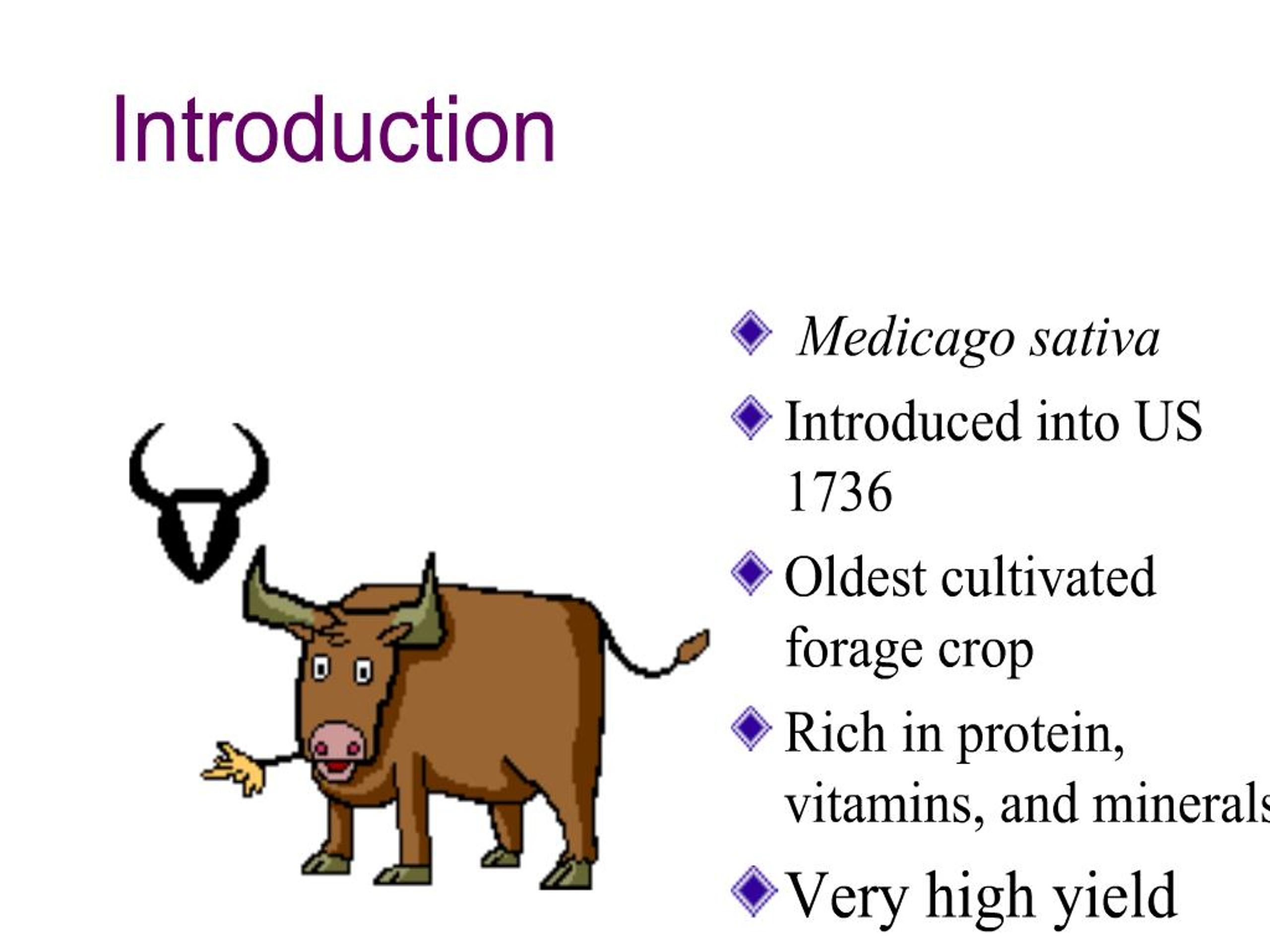 PPT - alfalfa production PowerPoint Presentation, free download - ID:150567