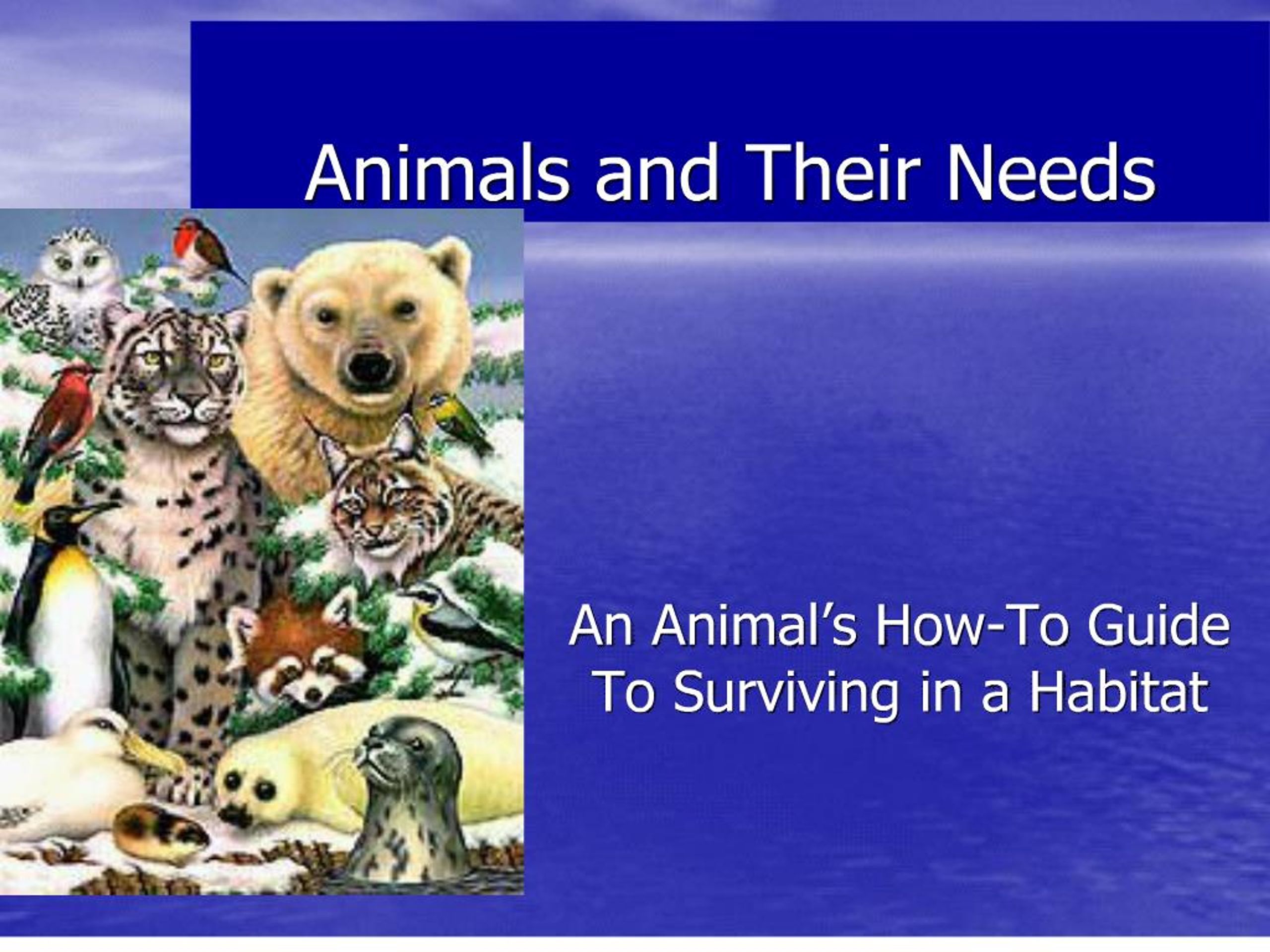 PPT - animals and their needs PowerPoint Presentation, free download ...