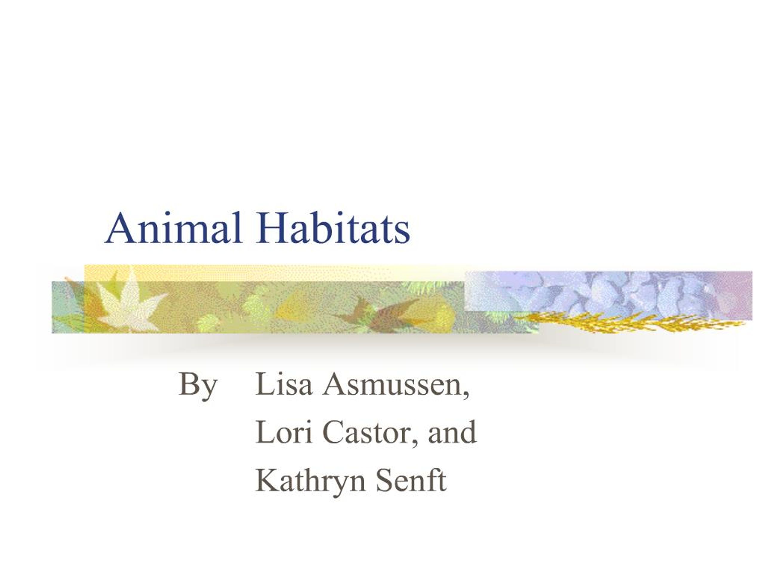 PPT - animal habitats PowerPoint Presentation, free download - ID:153448