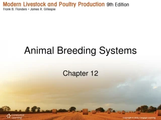 PPT - Animal Breeding PowerPoint Presentation, free download - ID:840435