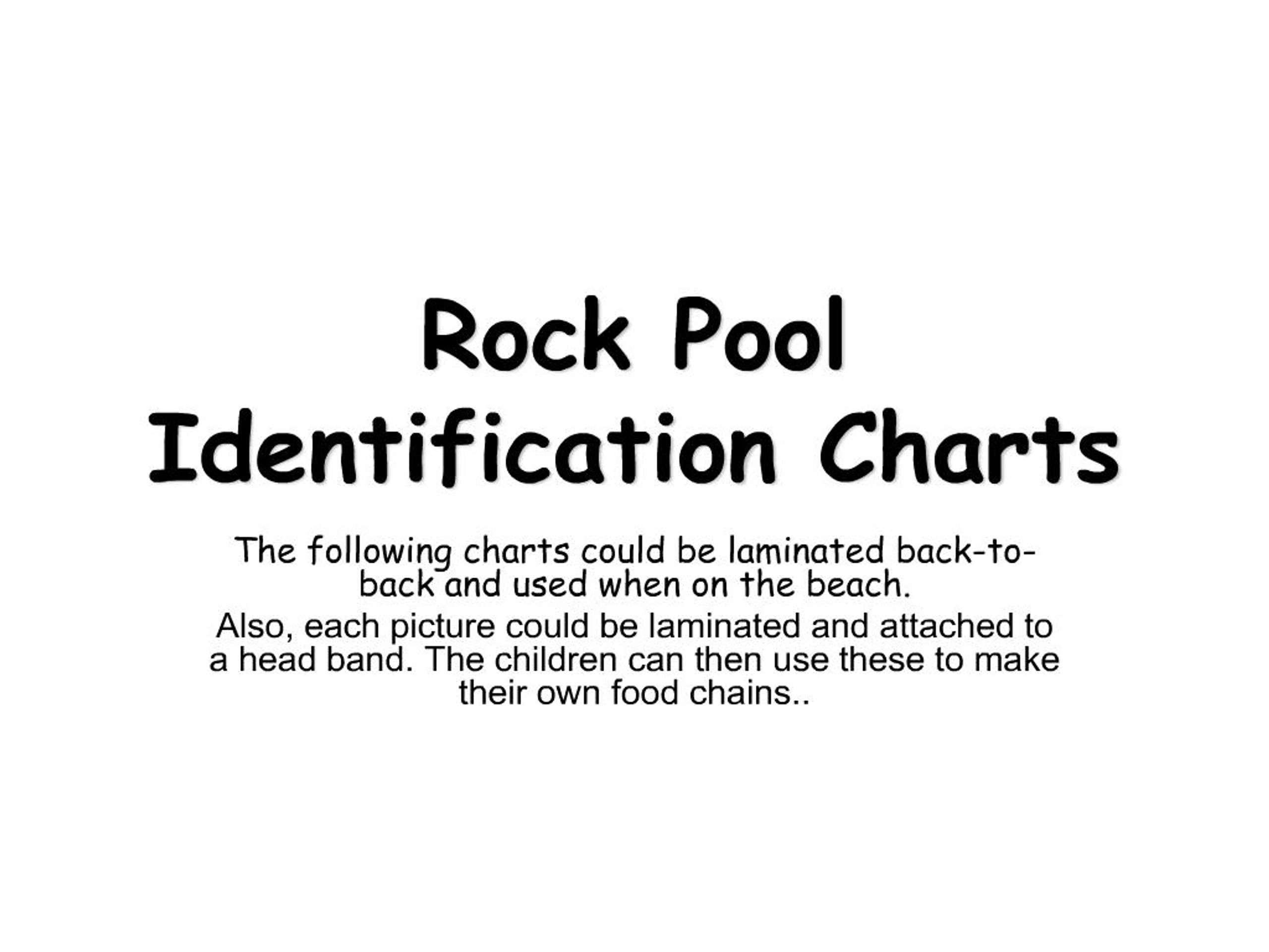 PPT - rock pool identification charts PowerPoint Presentation, free ...