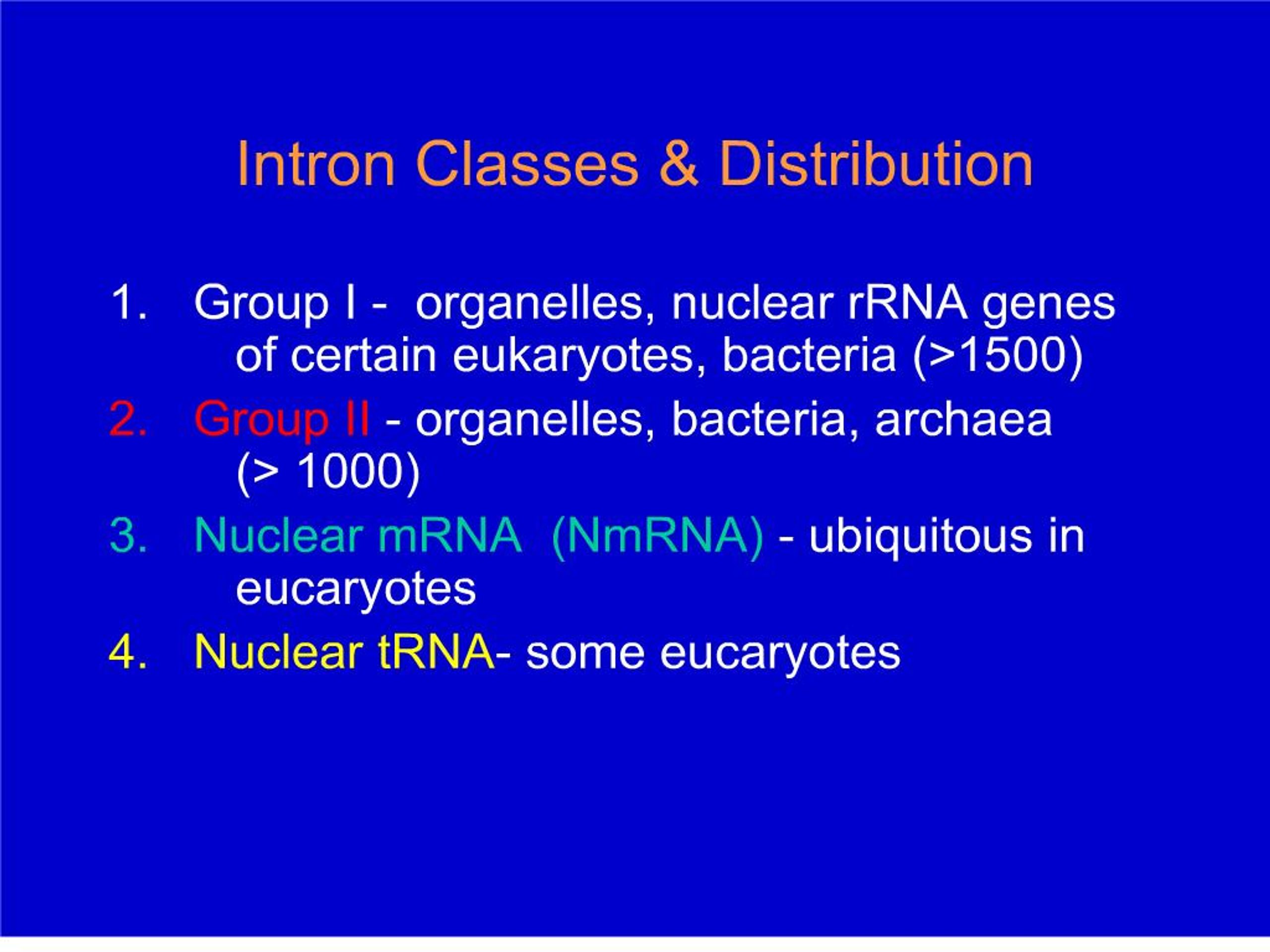 PPT - intron classes distribution PowerPoint Presentation, free ...