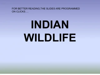 PPT - Indian Wildlife PowerPoint Presentation, free download - ID:101363
