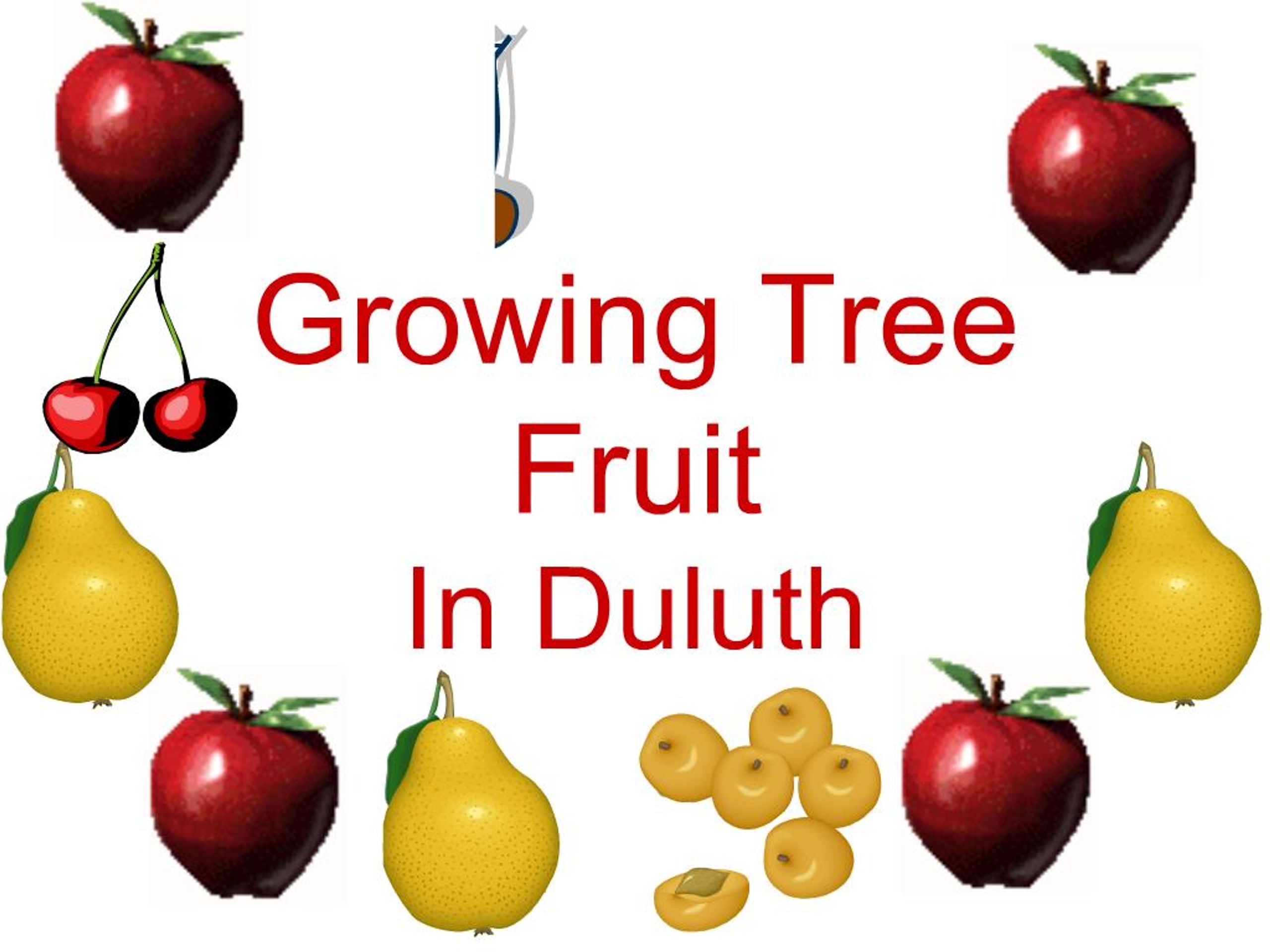 PPT - growing tree fruit PowerPoint Presentation, free download - ID:156998