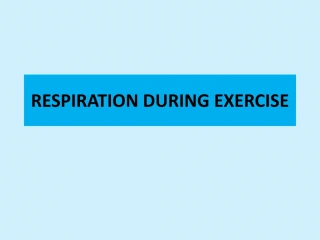 PPT - RESPIRATORY REGULATION DURING EXERCISE PowerPoint Presentation ...