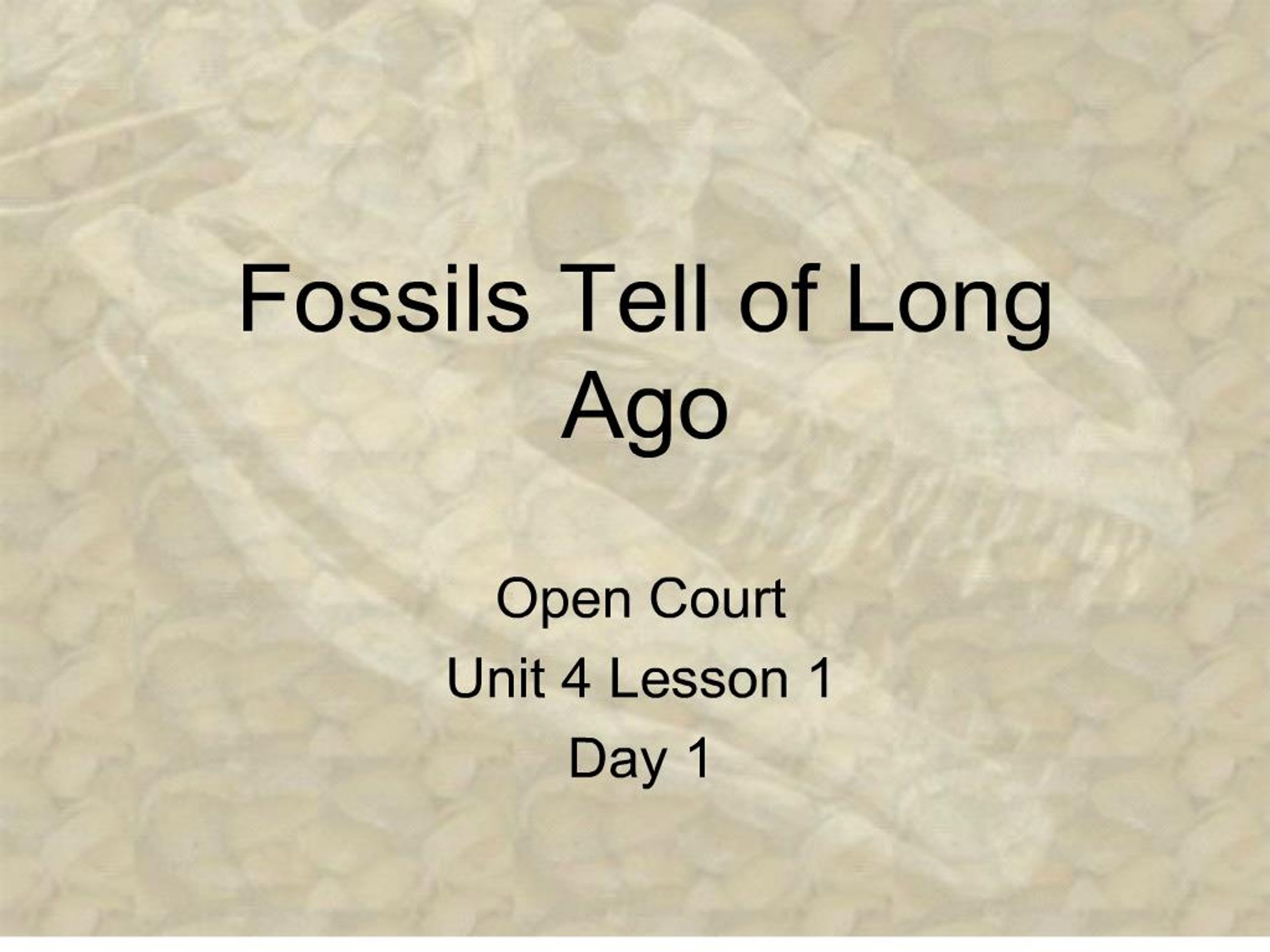 PPT - fossils tell of long ago PowerPoint Presentation, free download ...