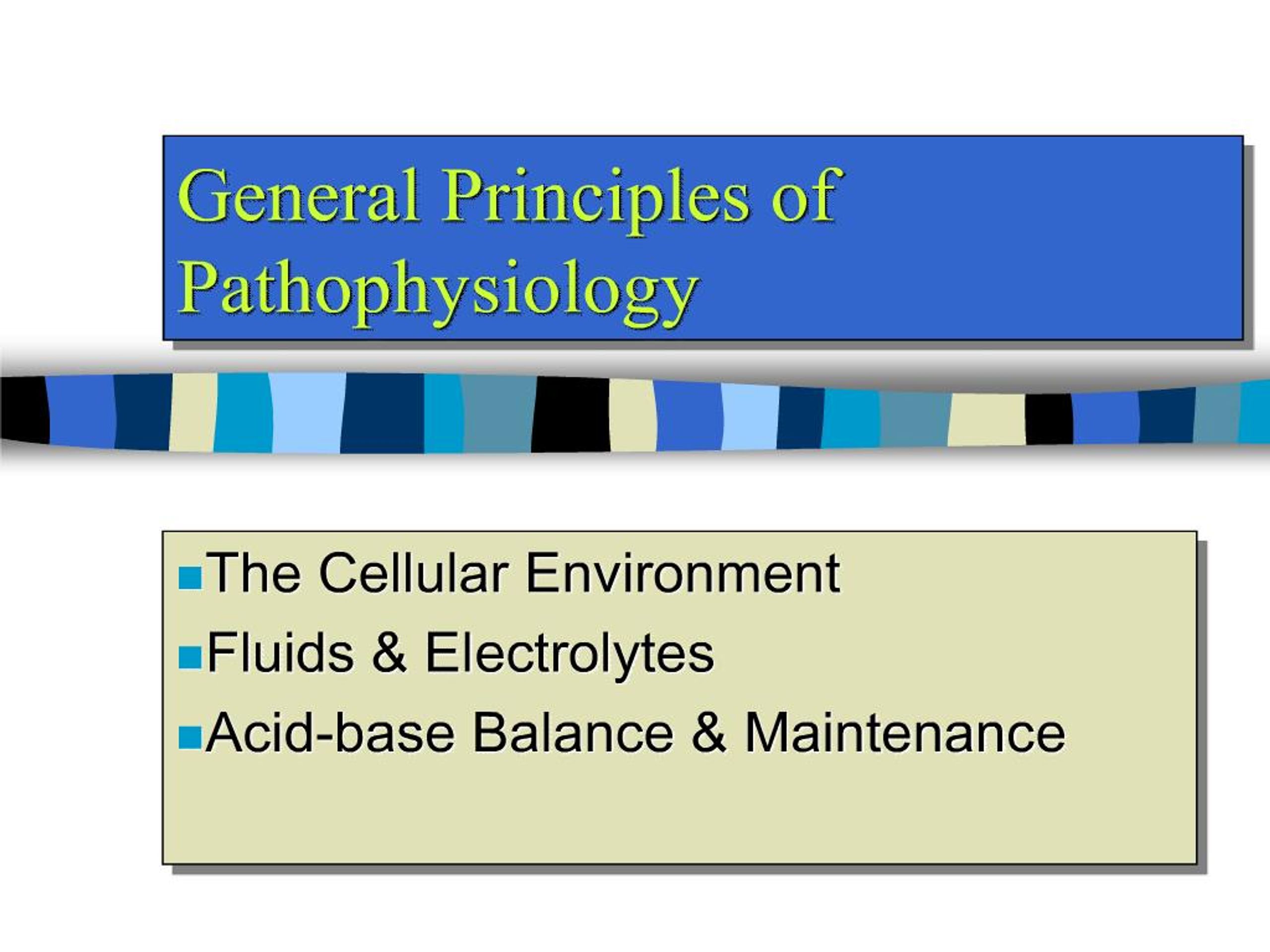 PPT - General Principles of Pathophysiology PowerPoint Presentation ...