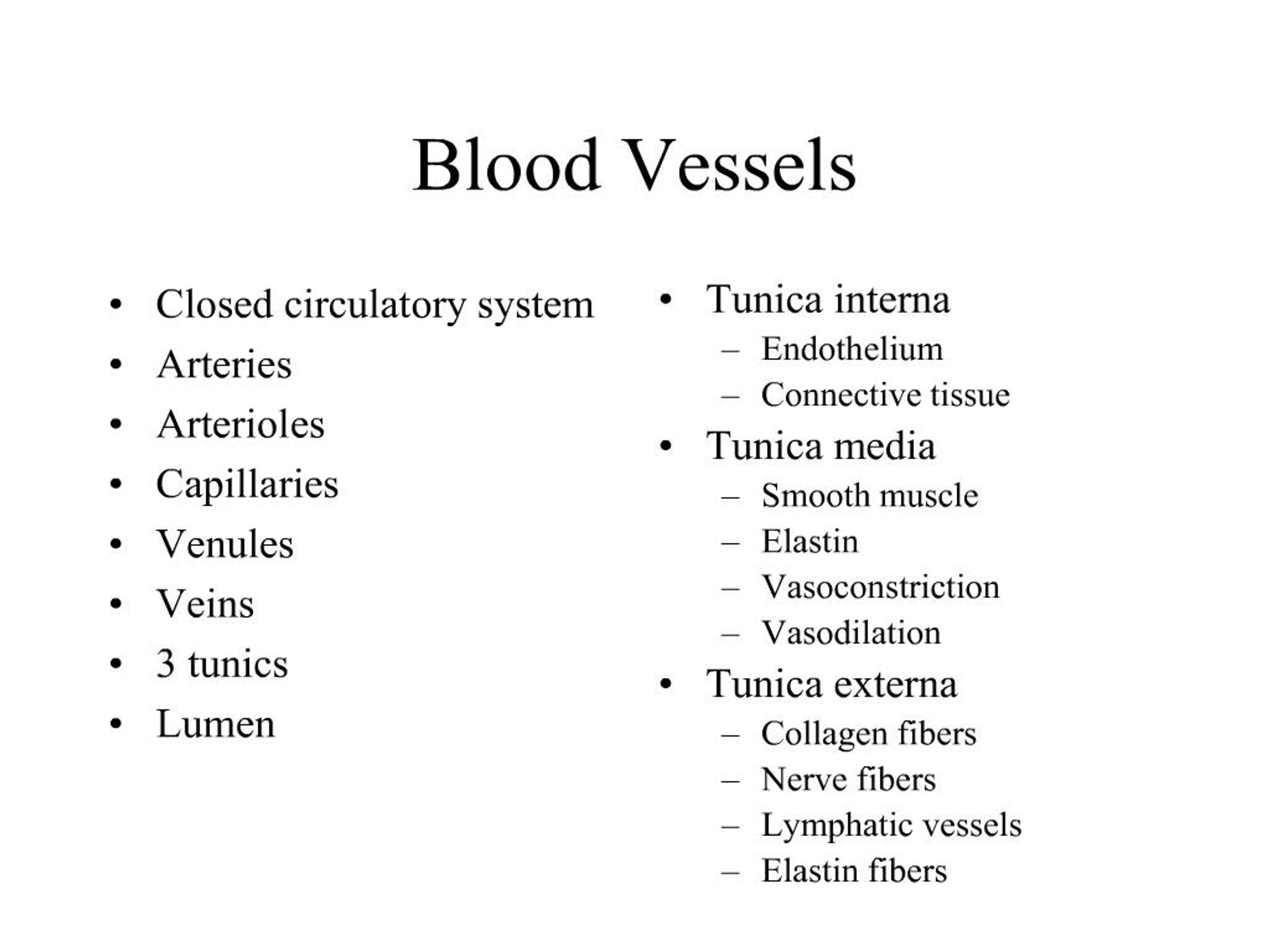 PPT - Blood Vessels PowerPoint Presentation, free download - ID:176236